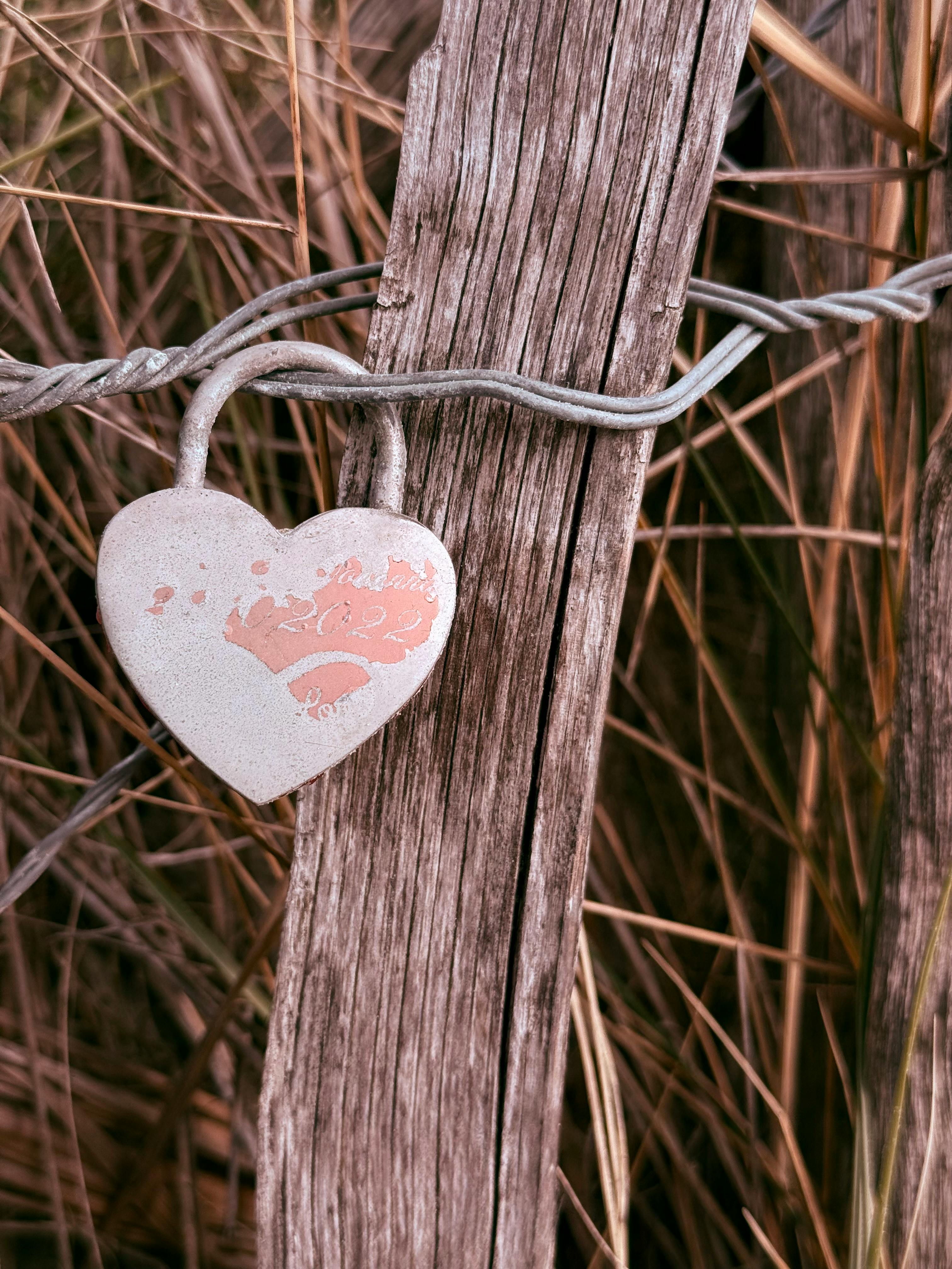 Rustic Heart Lock on Weathered Fence Outdoors · Free Stock Photo