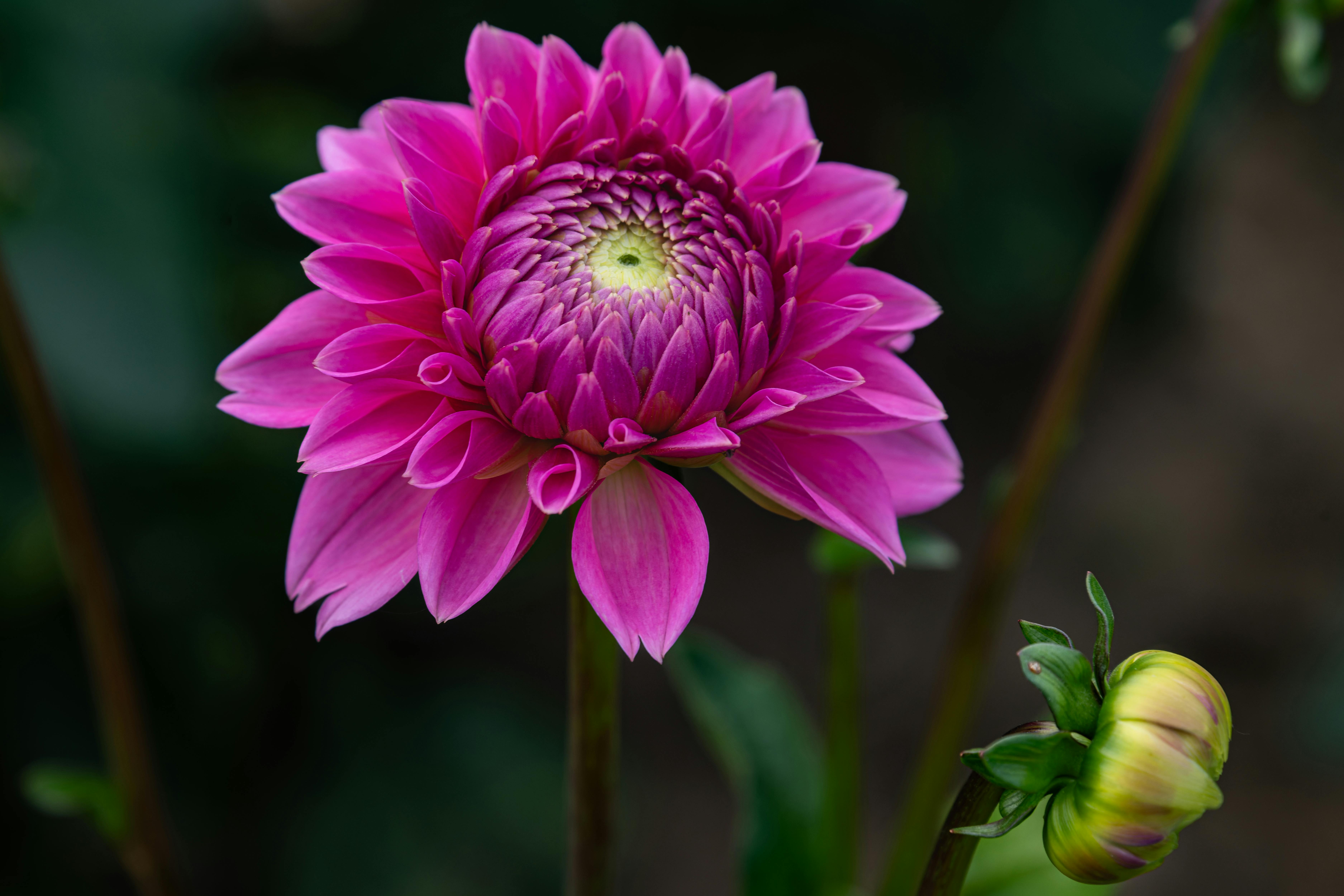 Revival Background Photos, Download The BEST Free Revival Background ...