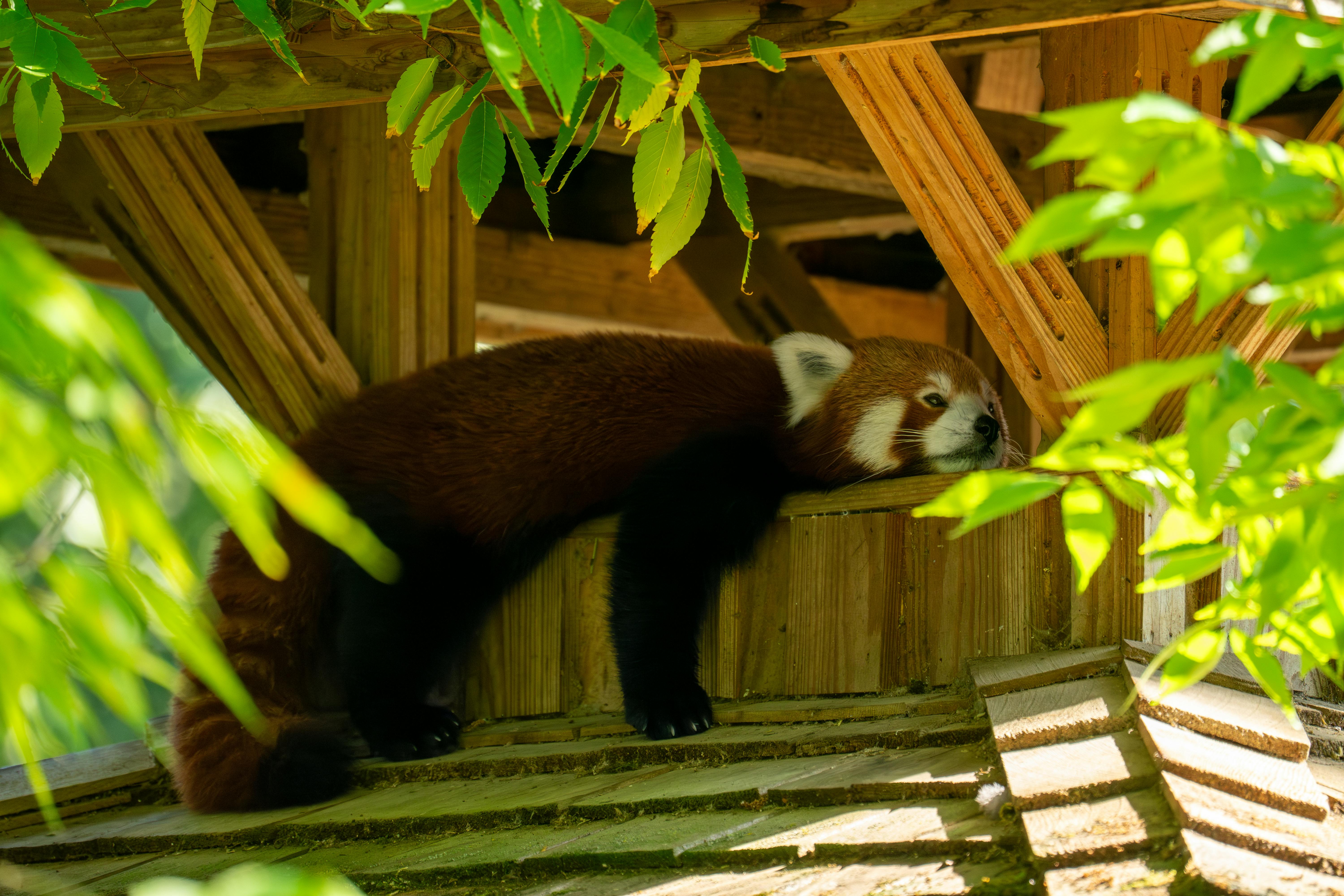 Cute God Photos, Download The BEST Free Cute God Stock Photos & HD Images