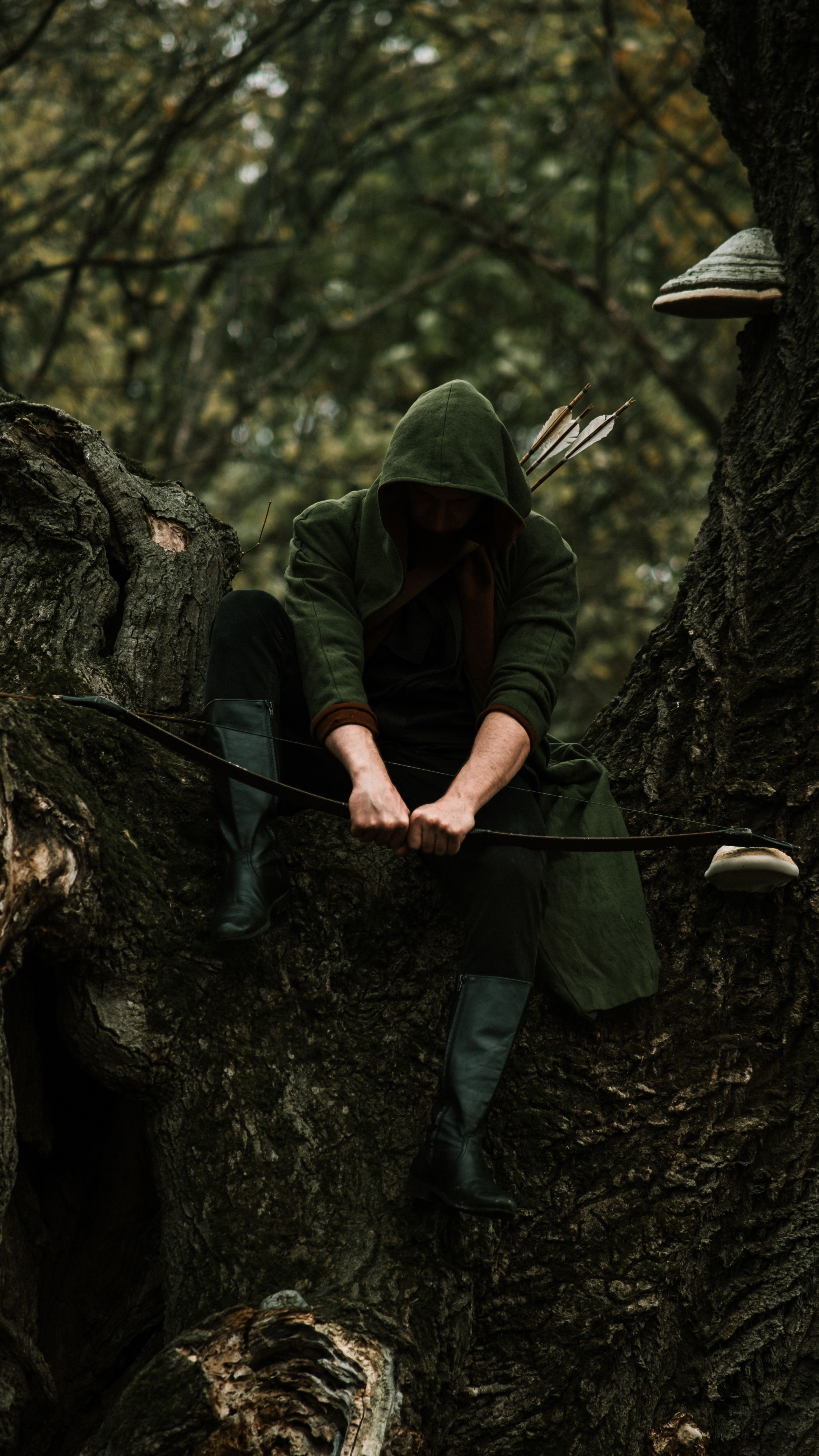 Arrows Photos, Download The BEST Free Arrows Stock Photos & HD Images
