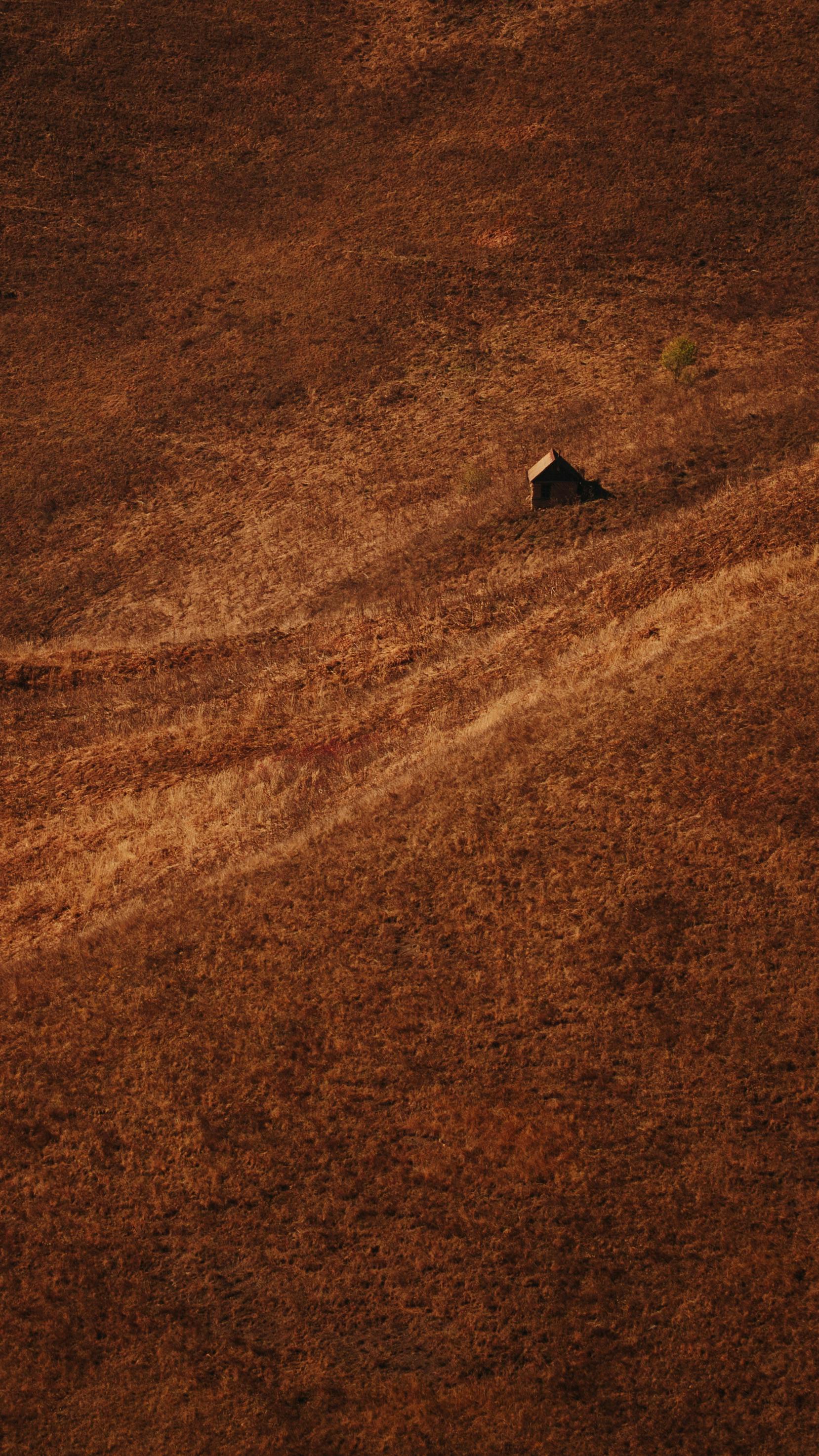 Single Churros Photos, Download The BEST Free Single Churros Stock ...