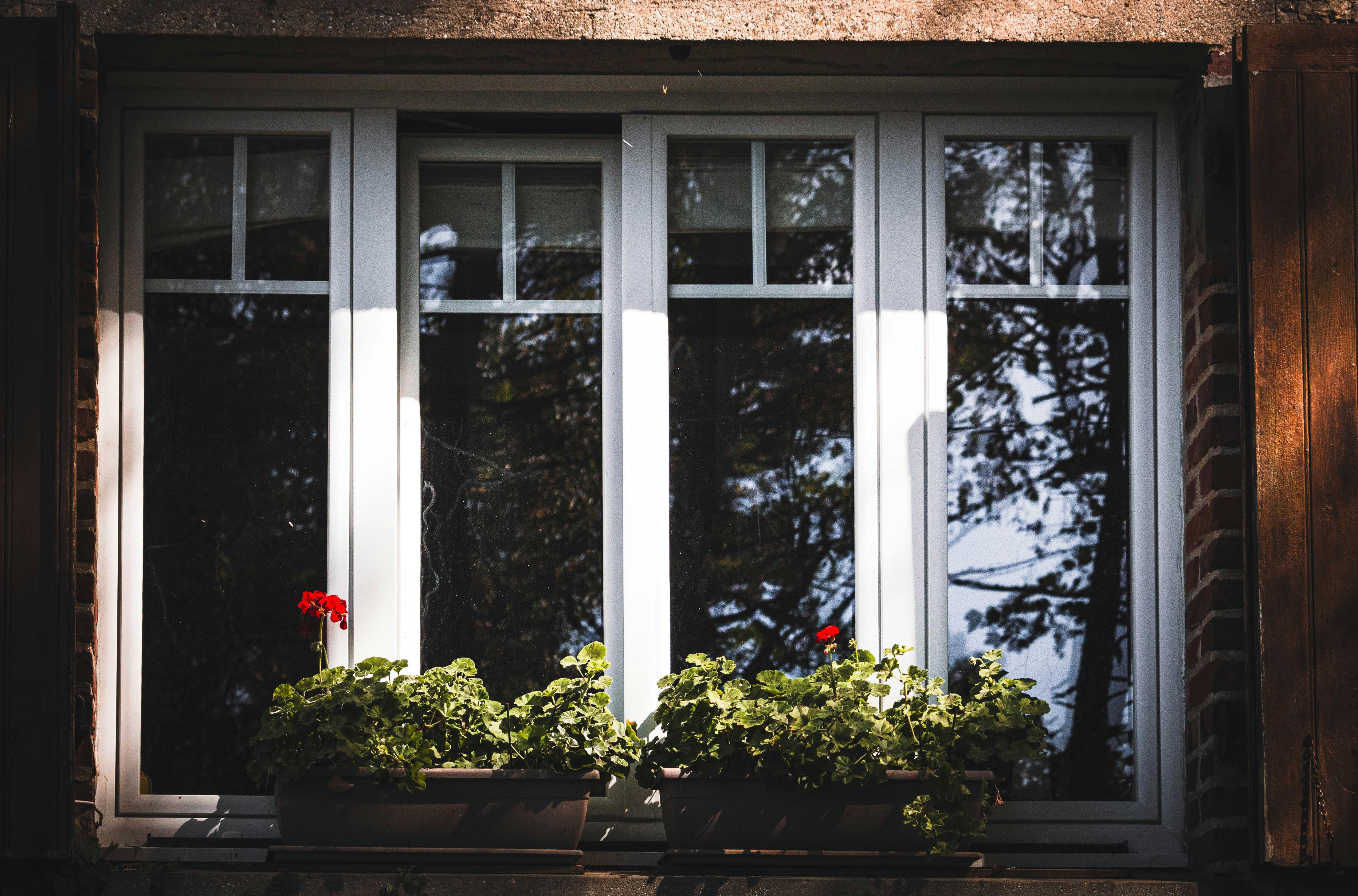 Shutter Photos, Download The BEST Free Shutter Stock Photos & HD Images