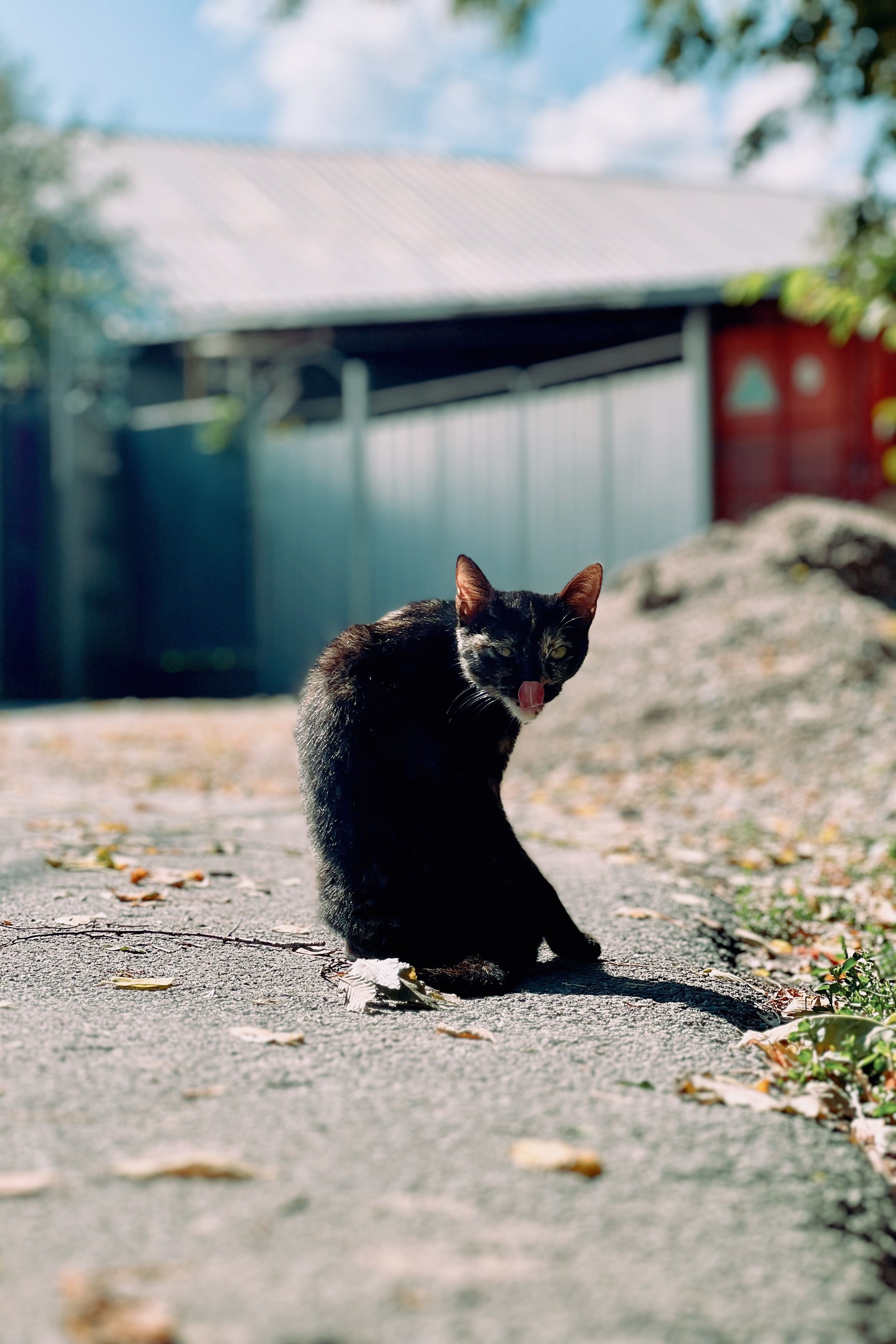 Ground File Photos, Download The BEST Free Ground File Stock Photos ...
