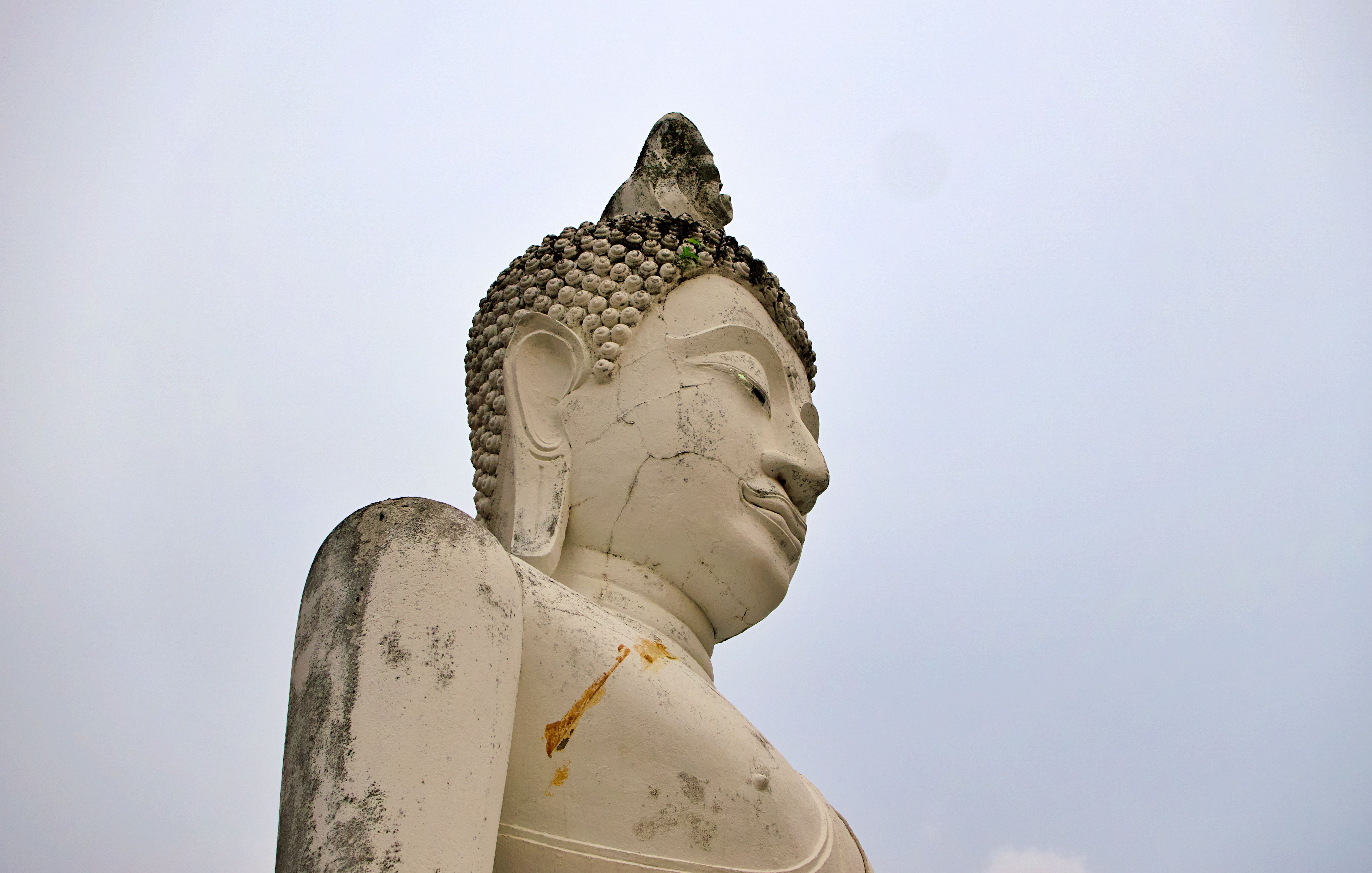 Buddha Images Photos, Download The BEST Free Buddha Images Stock Photos ...