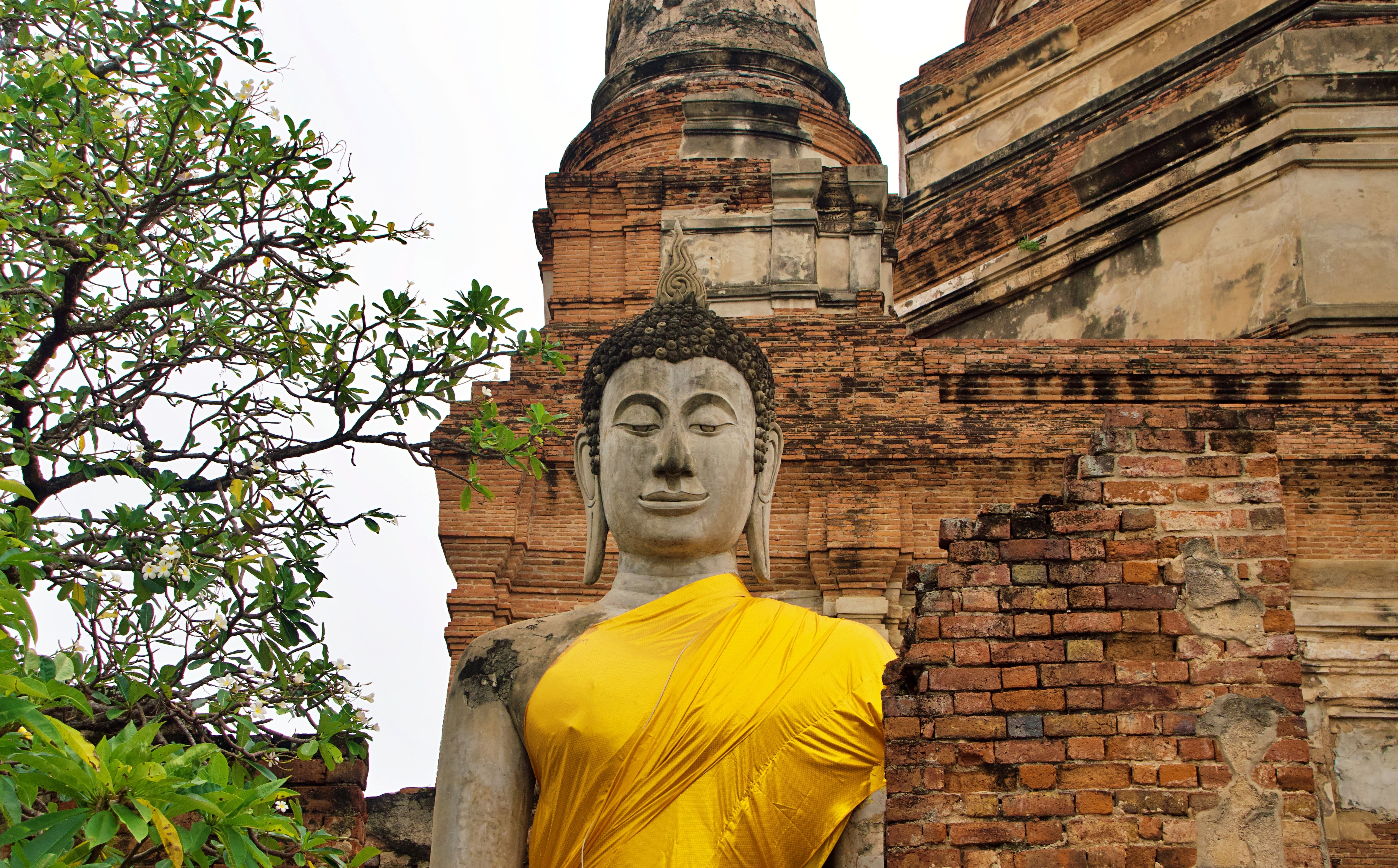 Buddha Images Photos, Download The BEST Free Buddha Images Stock Photos ...