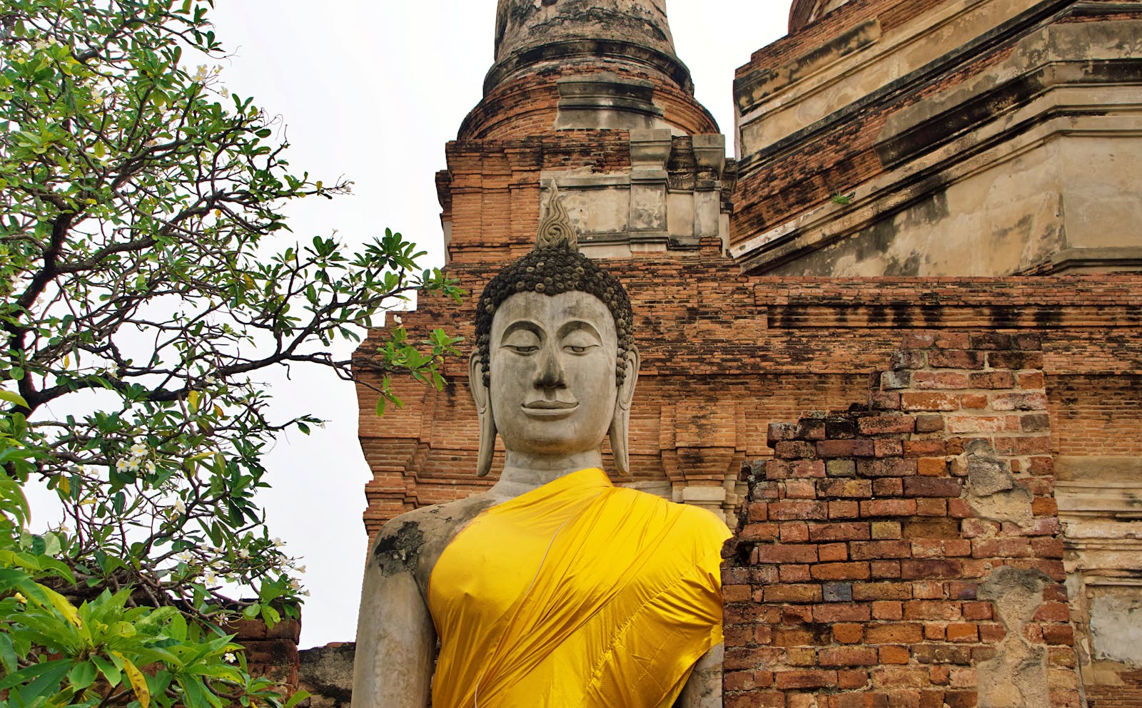 Buddha Images Photos, Download The BEST Free Buddha Images Stock Photos ...