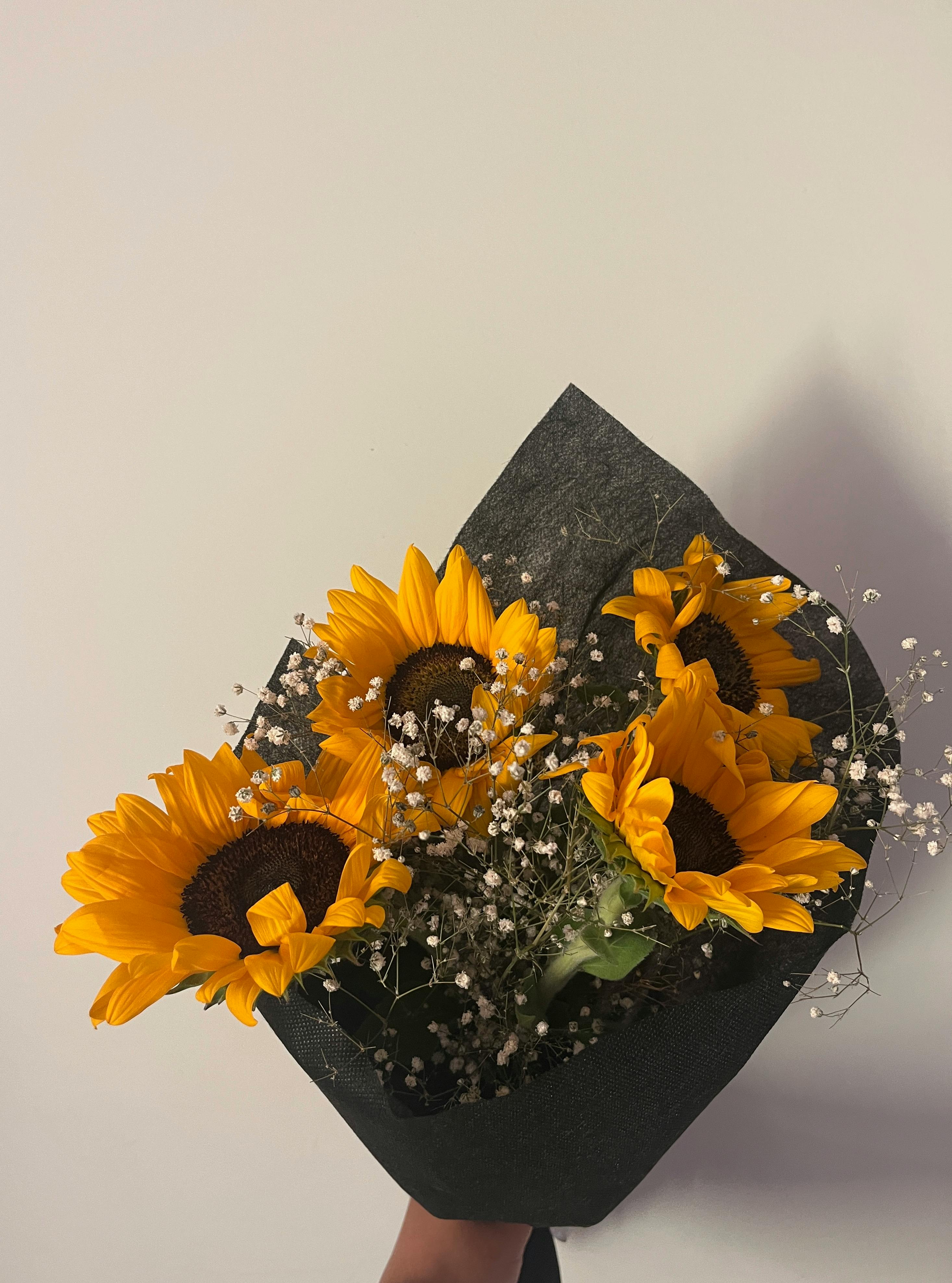 Japanese+Aesthetic+Pfp Photos, Download The BEST Free Japanese ...