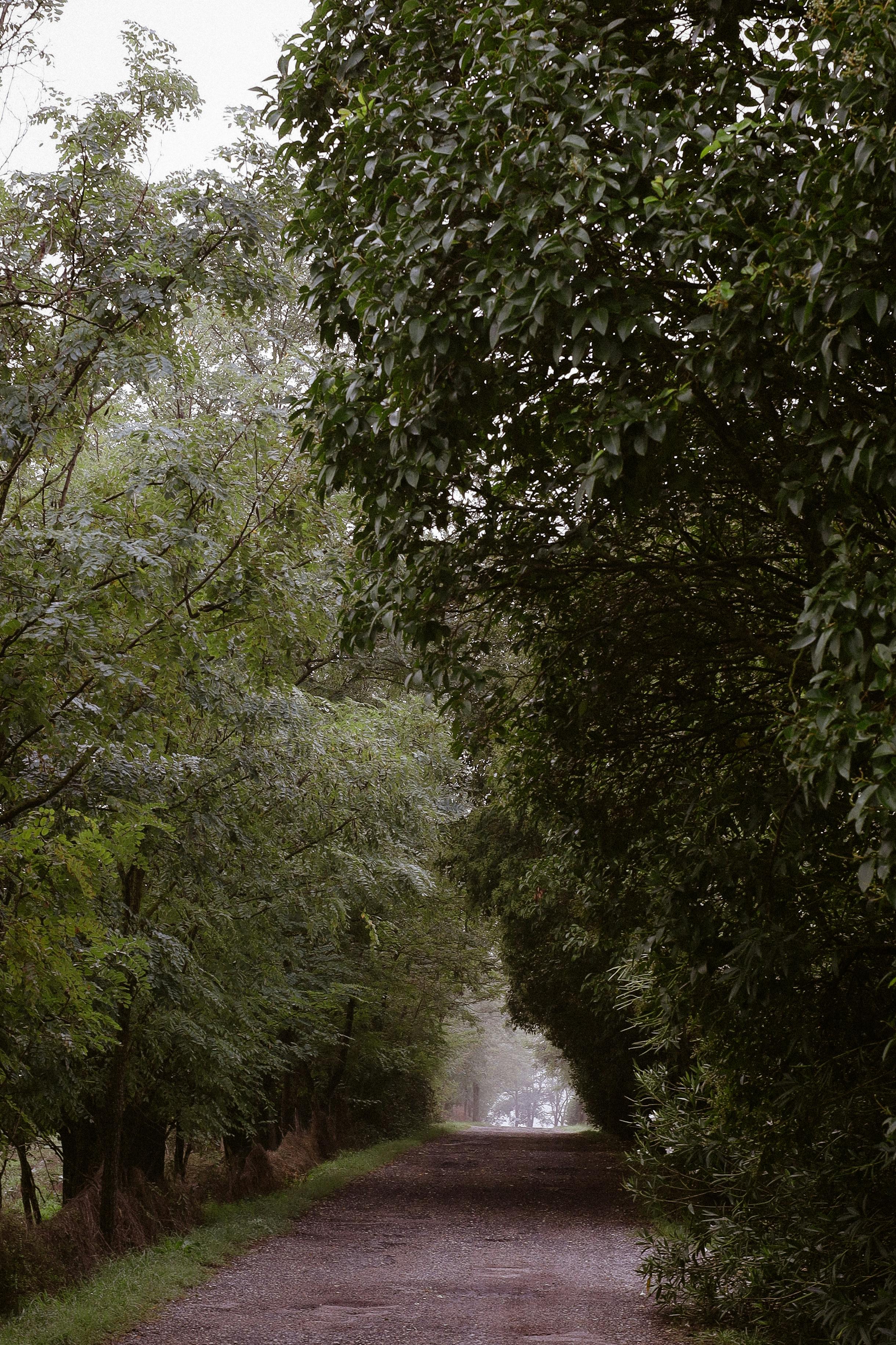 Calm Earthy Photos, Download The BEST Free Calm Earthy Stock Photos ...