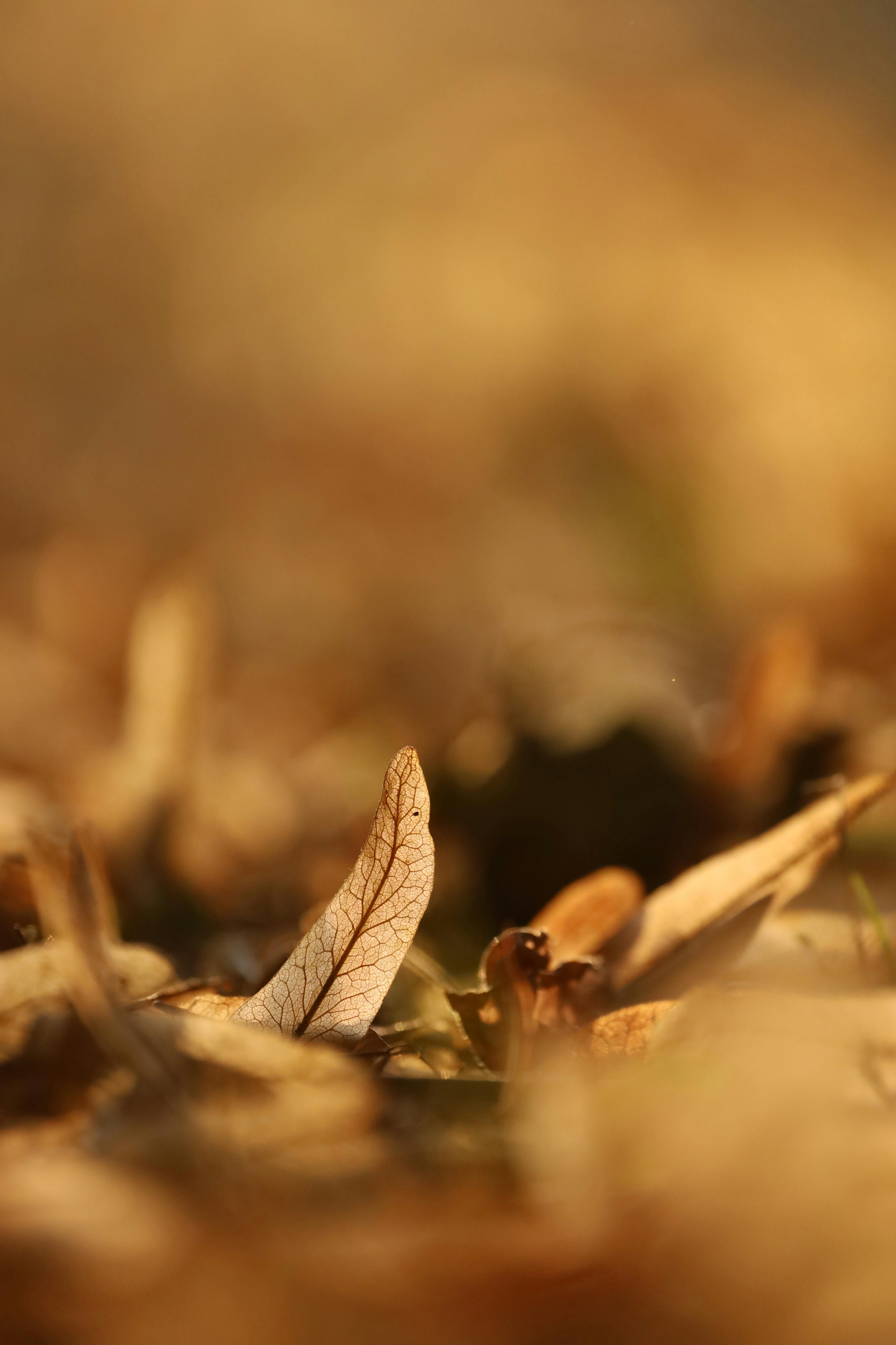 Transition Photos, Download The BEST Free Transition Stock Photos & HD ...