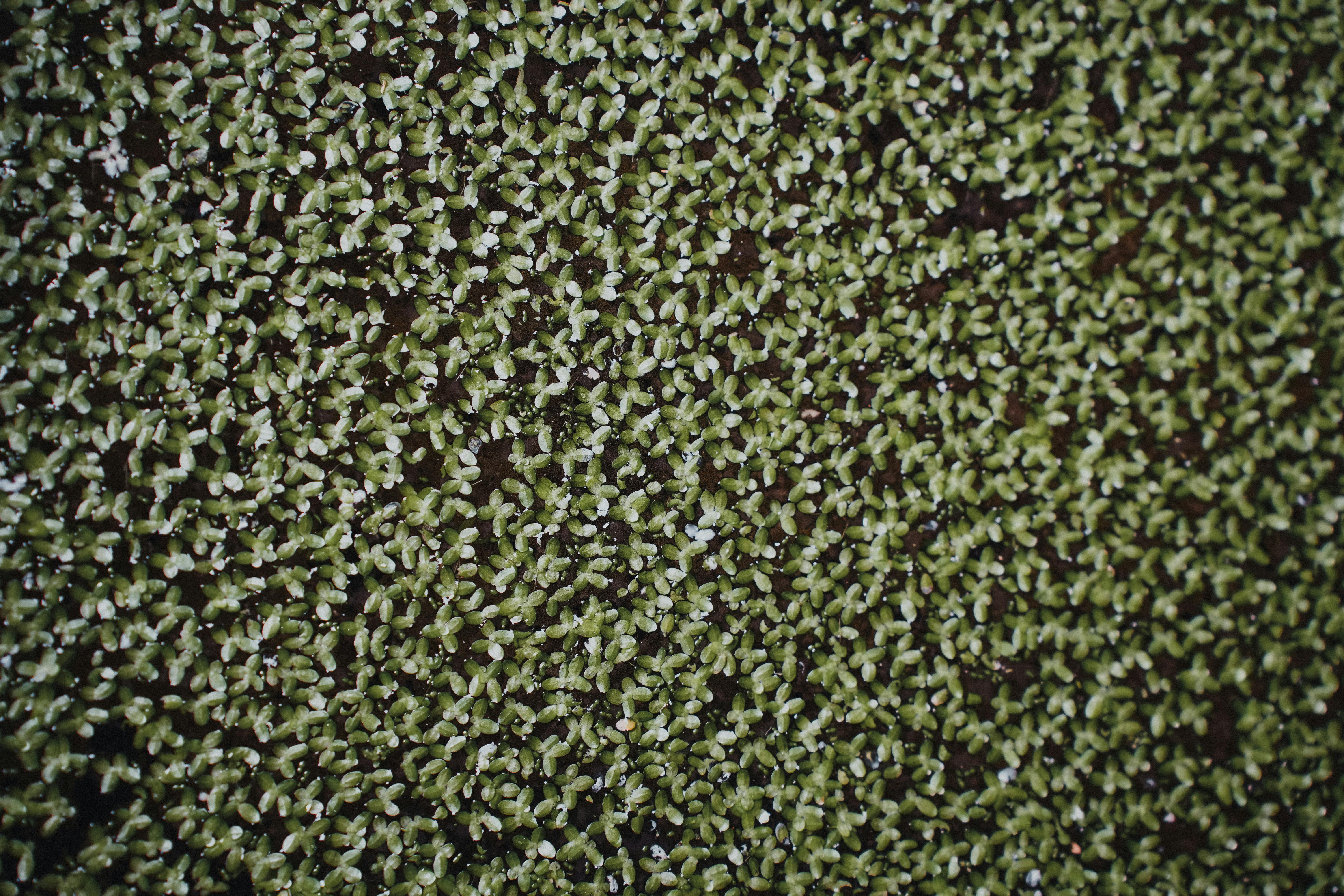 Color Texture Photos, Download The BEST Free Color Texture Stock Photos ...