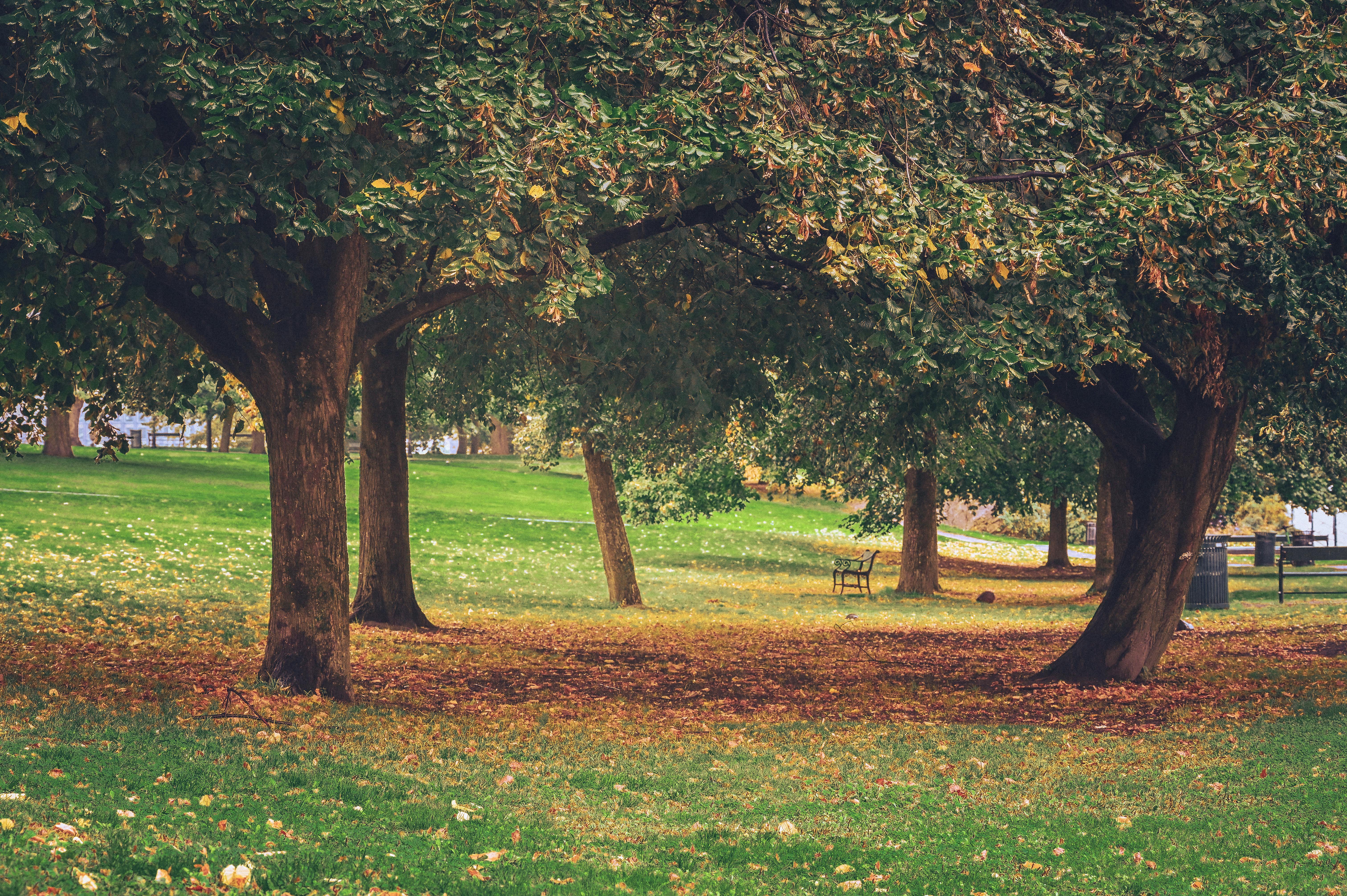 Robux Image Photos, Download The BEST Free Robux Image Stock Photos ...