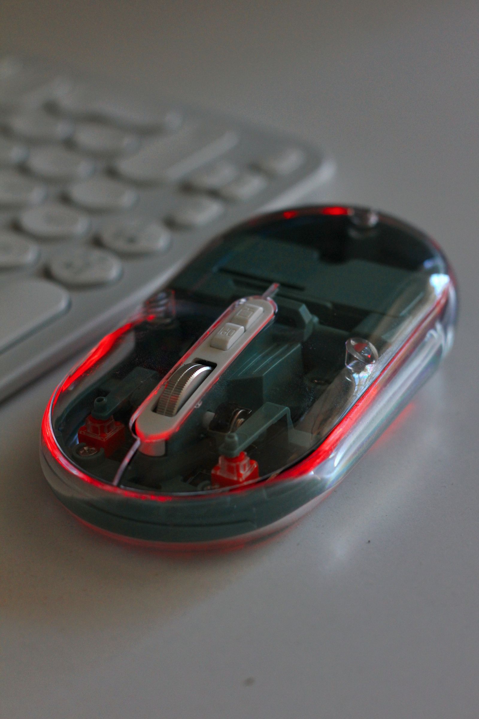 Computer Mouse And Mouse Photos, Download The BEST Free Computer Mouse ...