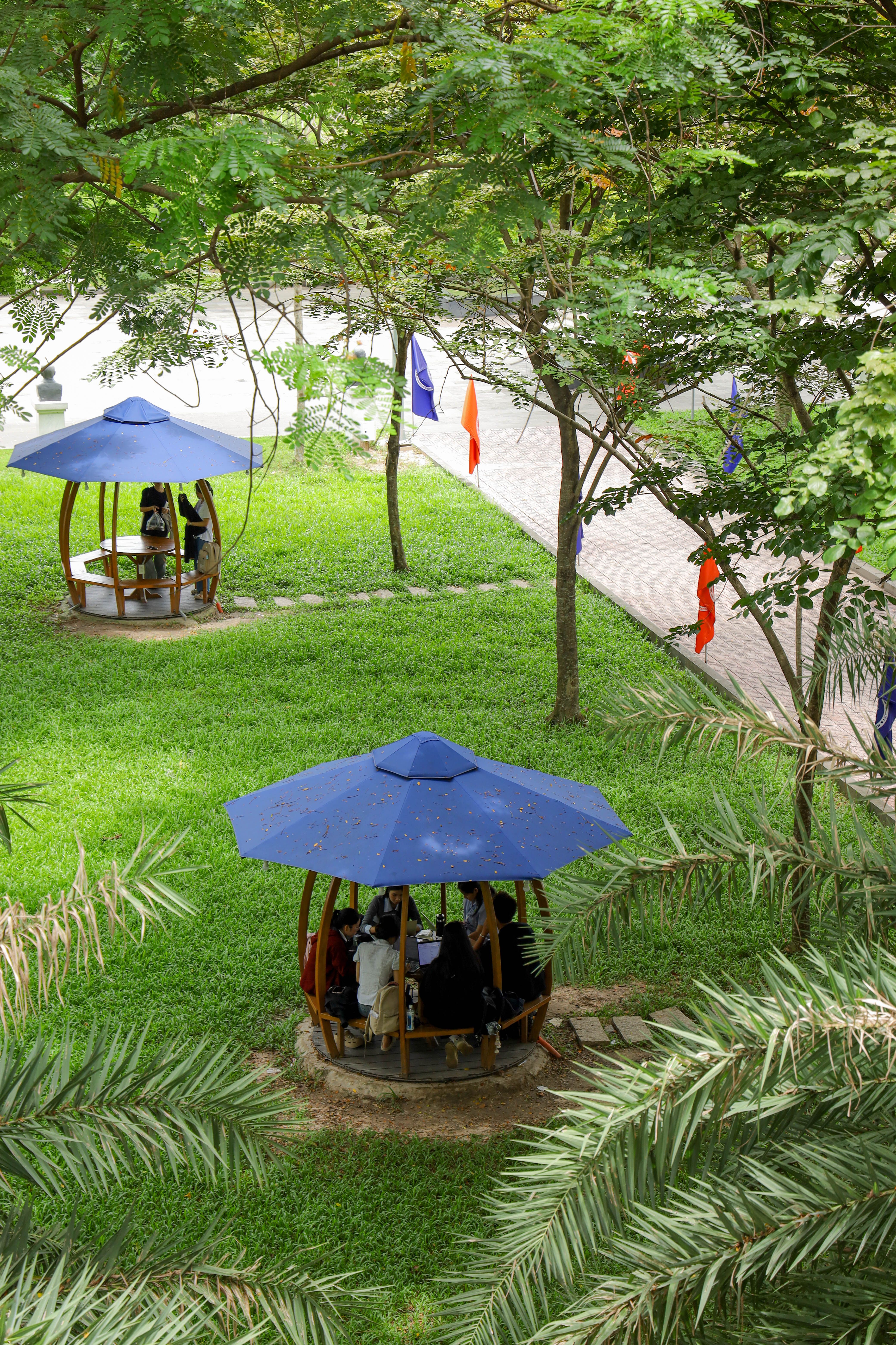 Group Outdoor Gathering Photos, Download The BEST Free Group Outdoor ...