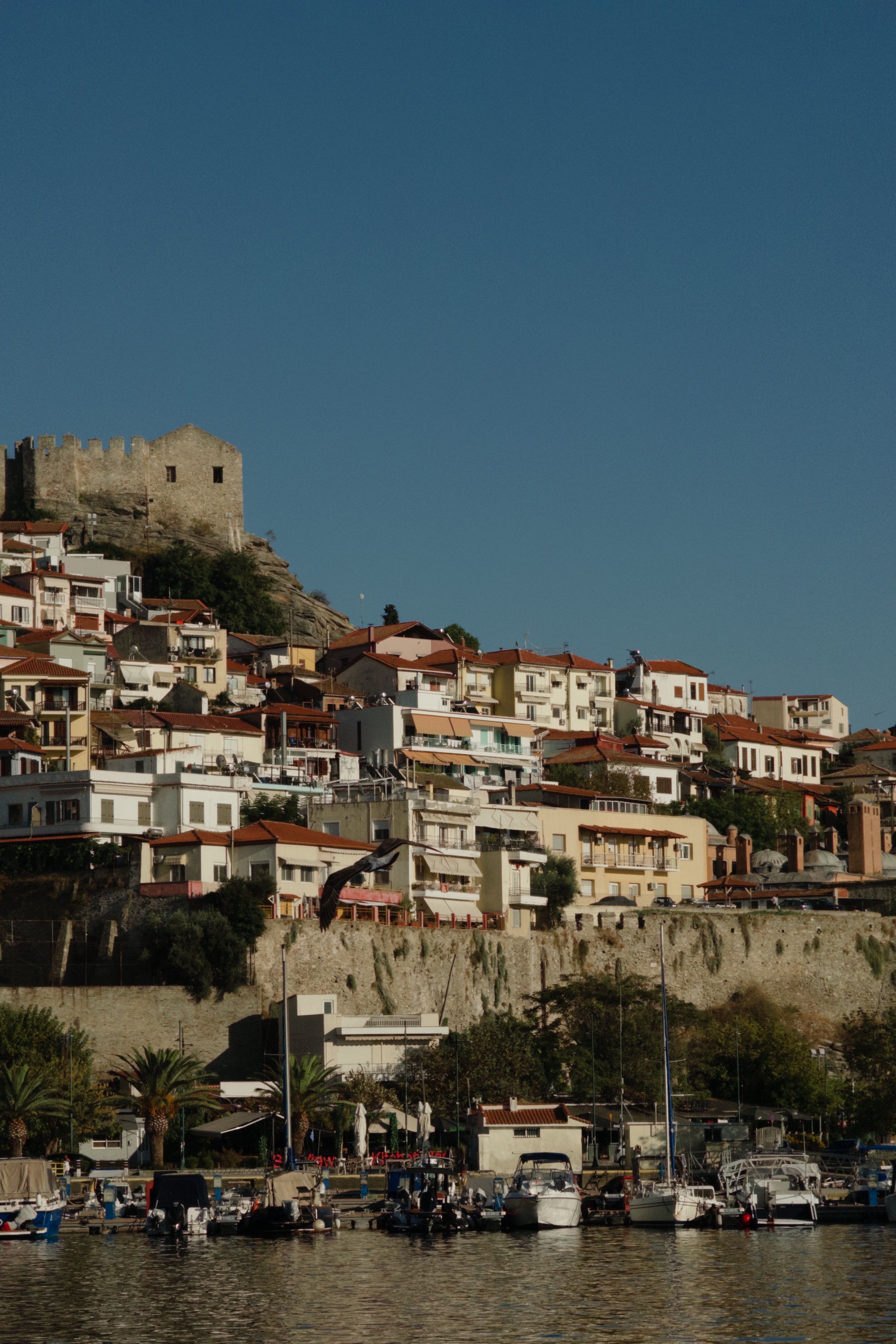 Kavala Senior Photos, Download The BEST Free Kavala Senior Stock Photos ...
