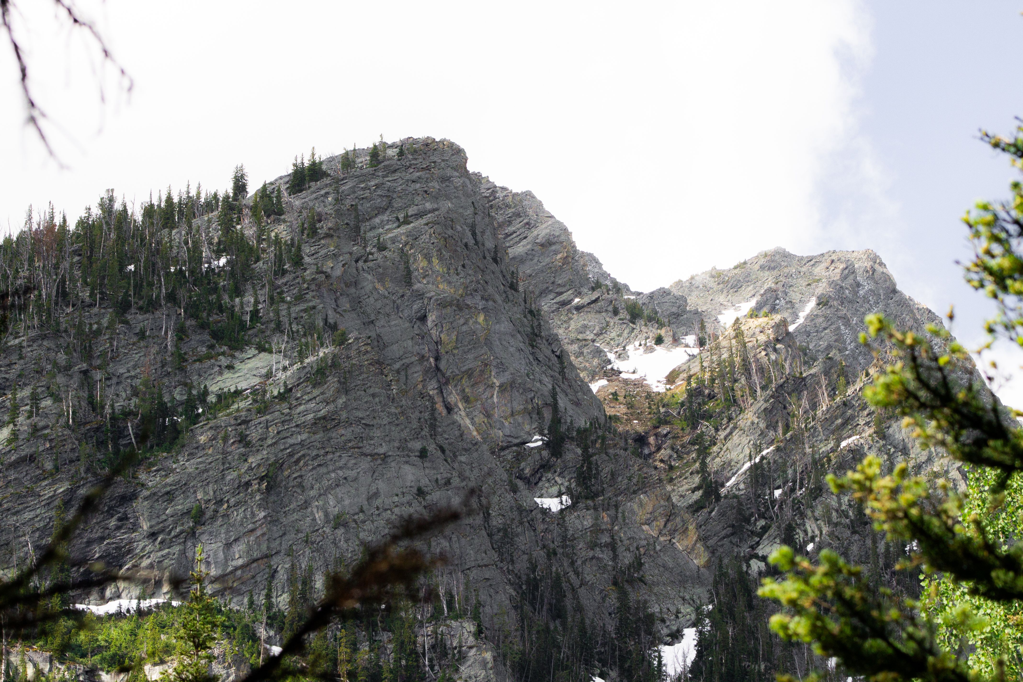 Rugged Mountain Peaks with Sparse Pine Trees · Free Stock Photo