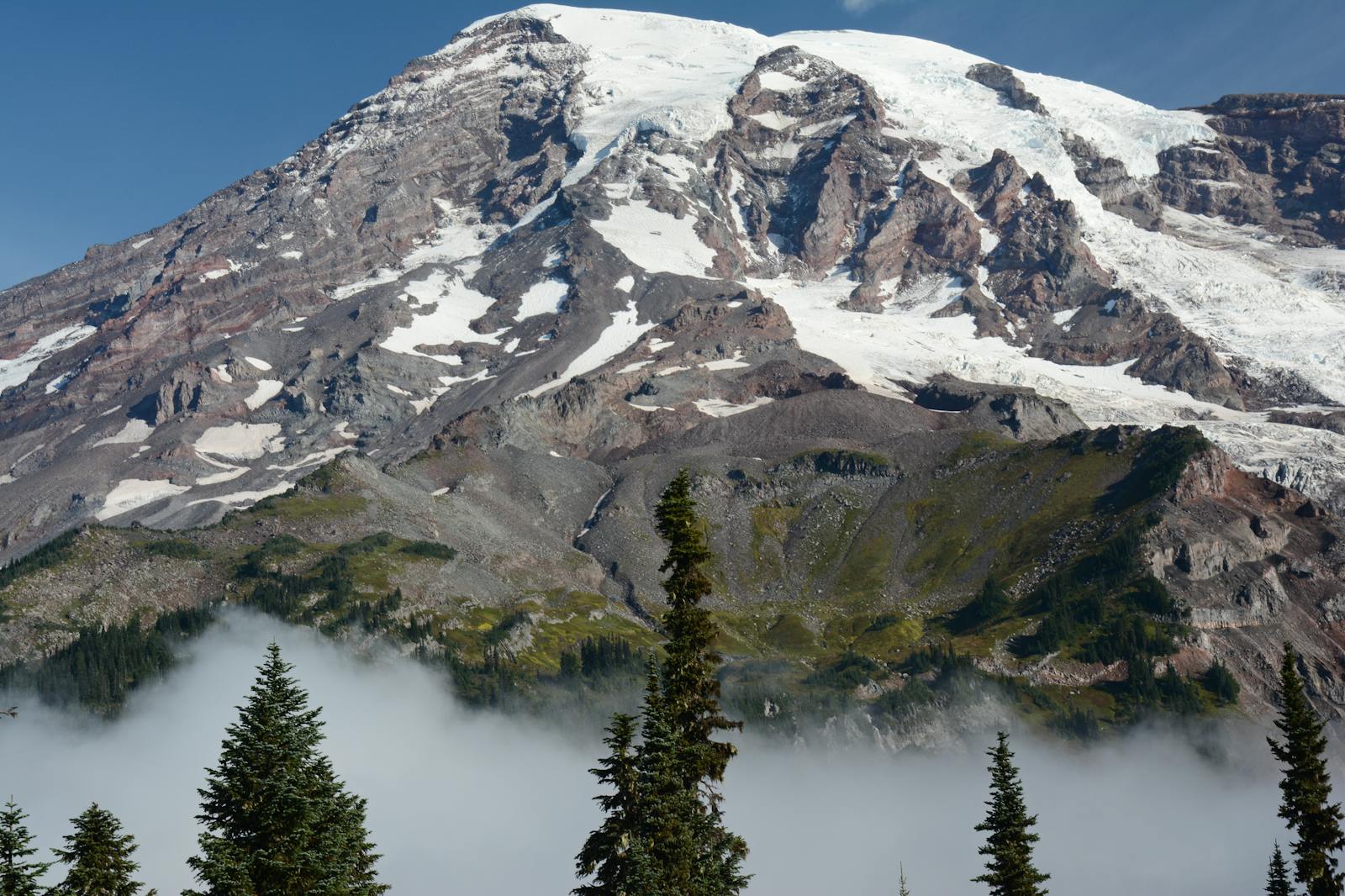 Big+Black+Men+Balls Photos, Download The BEST Free Big+Black+Men+Balls ...