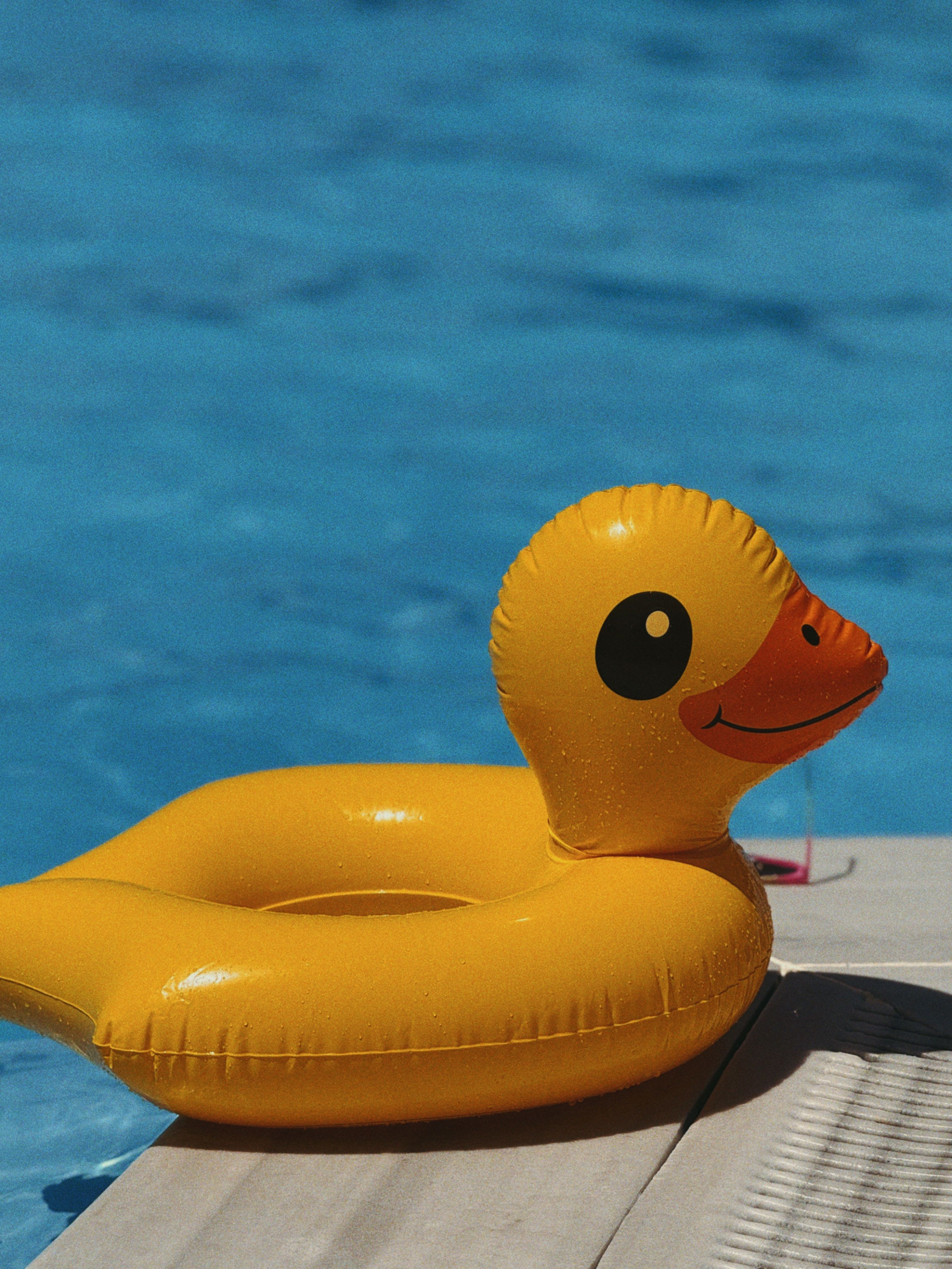 Bright Yellow Rubber Duck Pool Float by Poolside · Free Stock Photo