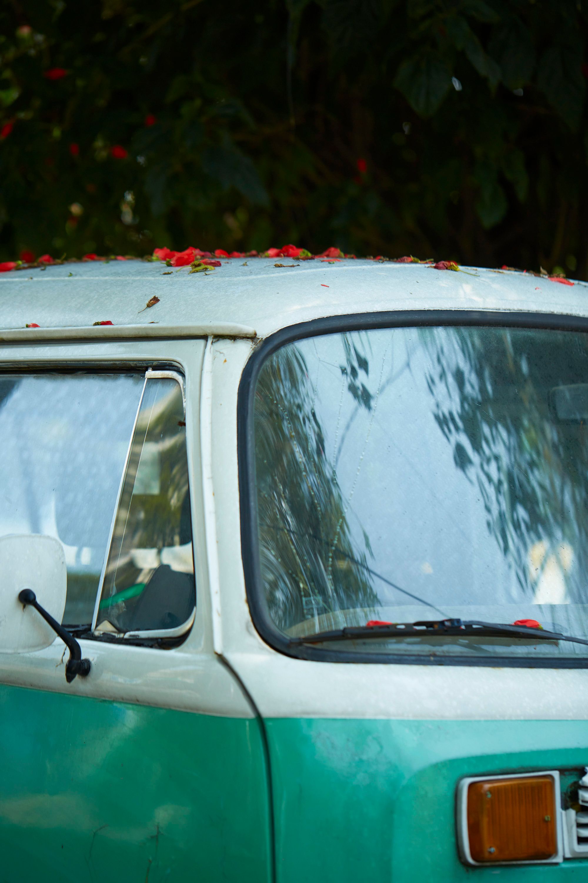 Vintage Green Van with Nature Reflections · Free Stock Photo