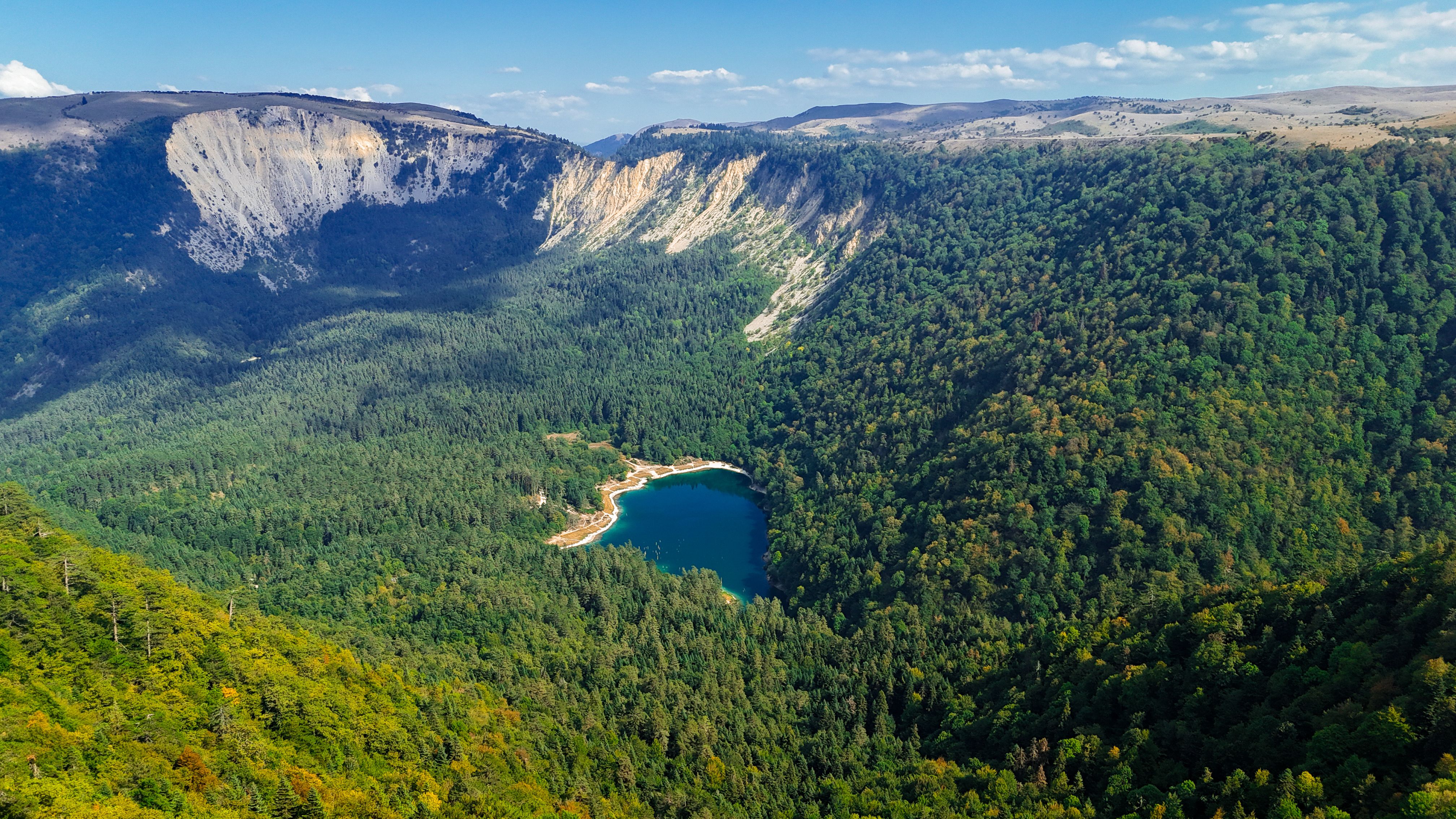 Aerial View of Lush Forests in Bolu, Türkiye · Free Stock Photo