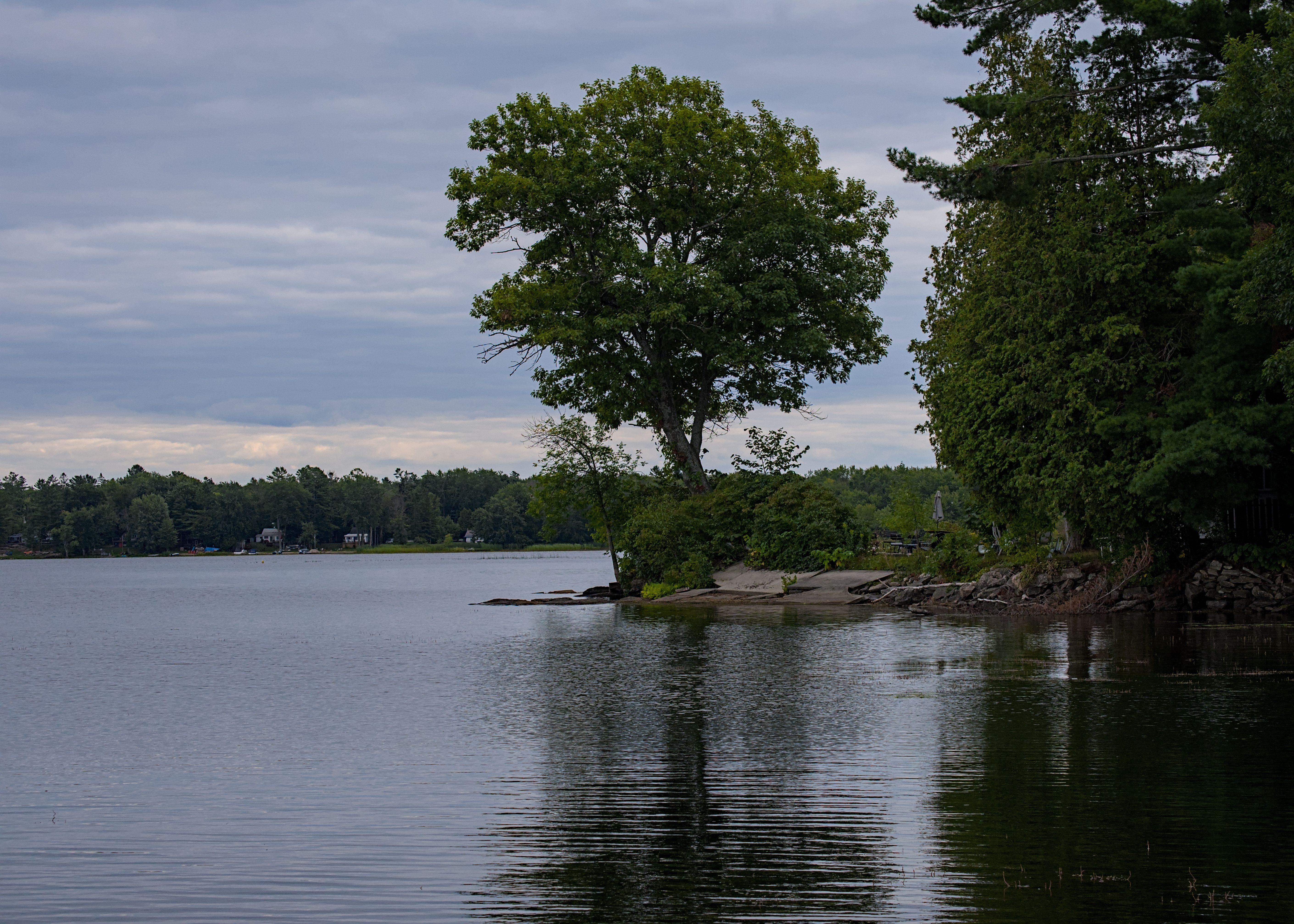 Tranquil Lakeview in Muskoka, Ontario · Free Stock Photo