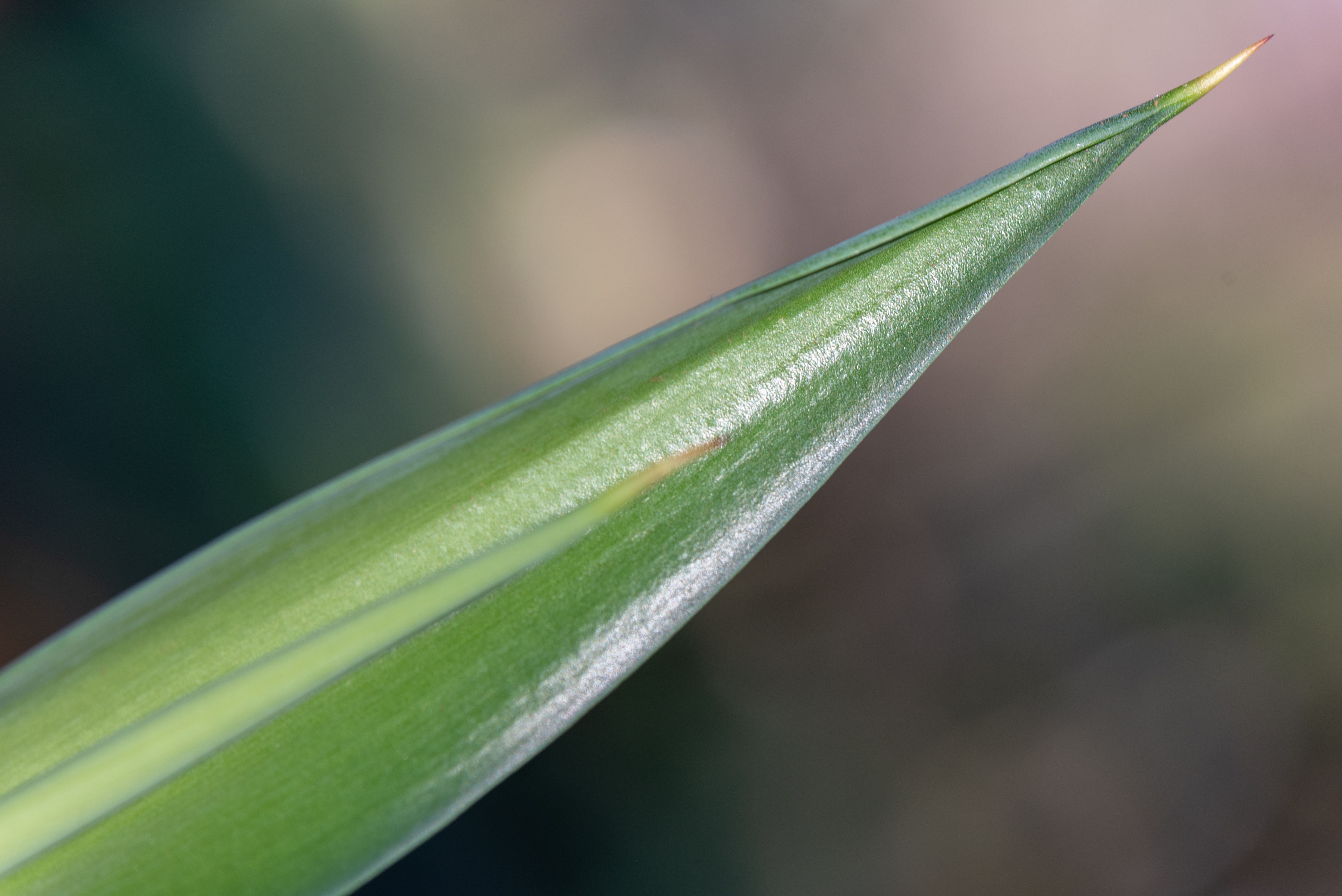 Green Rtx Photos, Download The BEST Free Green Rtx Stock Photos & HD Images