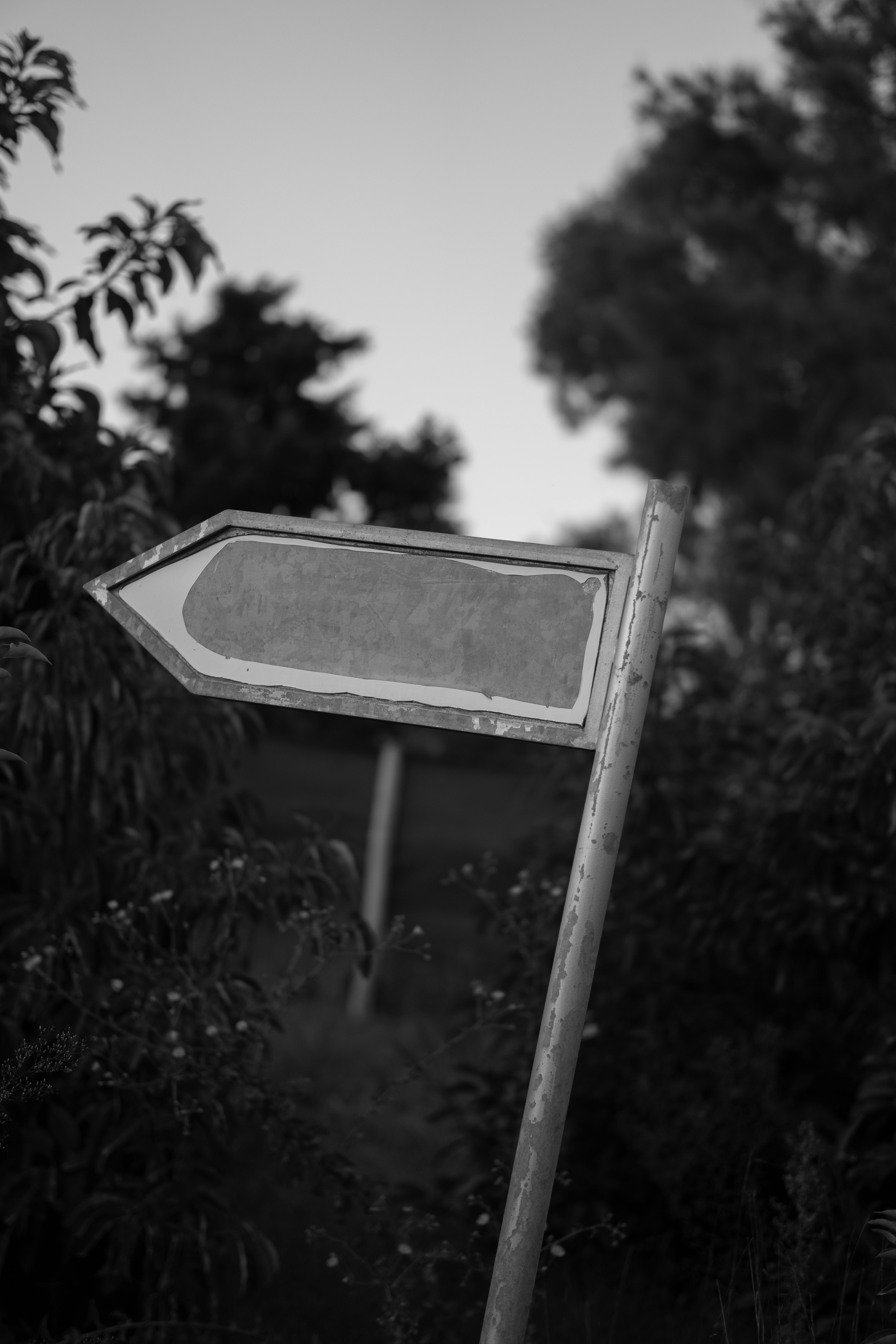 Rustic Arrow Signpost in Black and White · Free Stock Photo