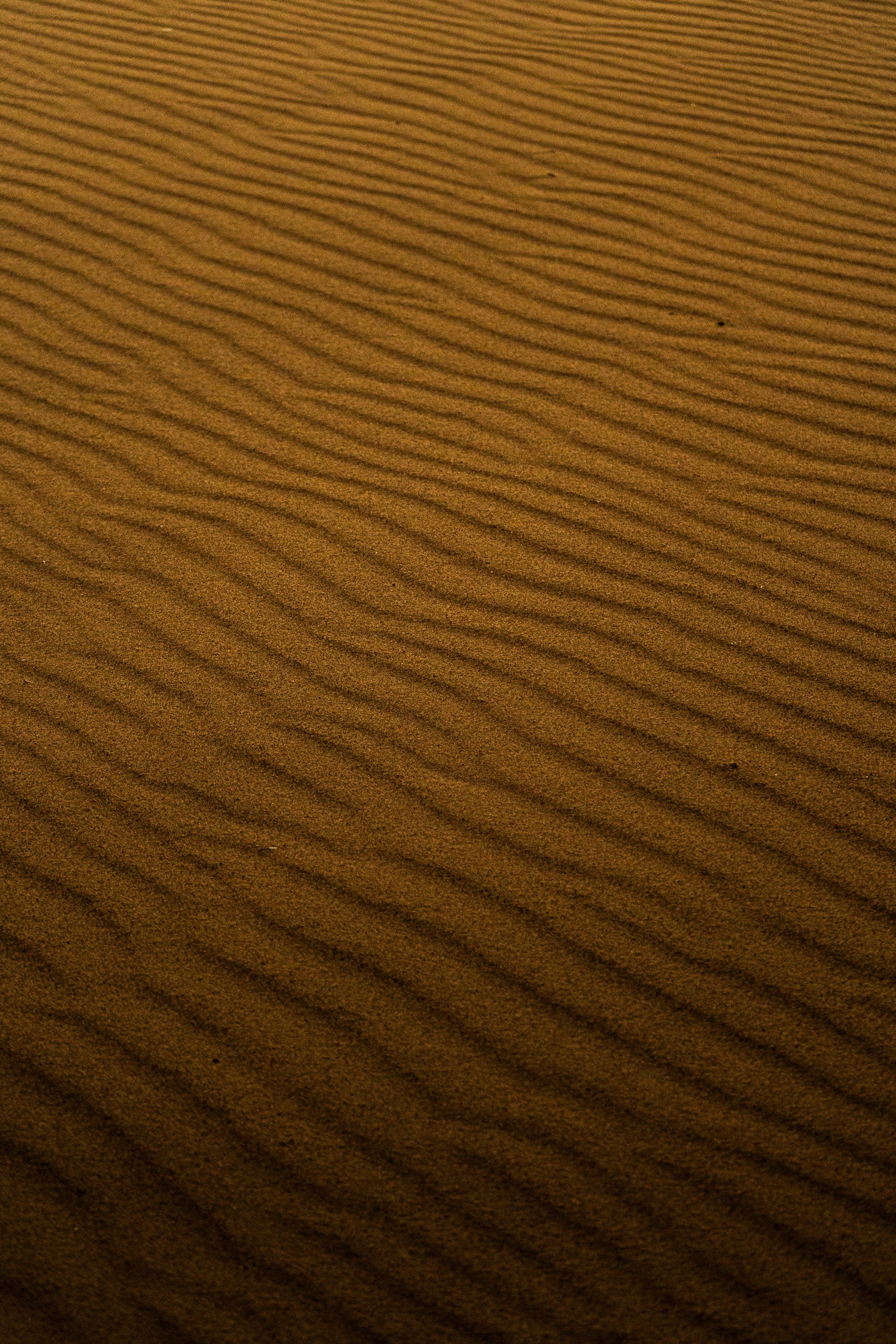 Intricate Sand Ripples on Michigan Beach · Free Stock Photo