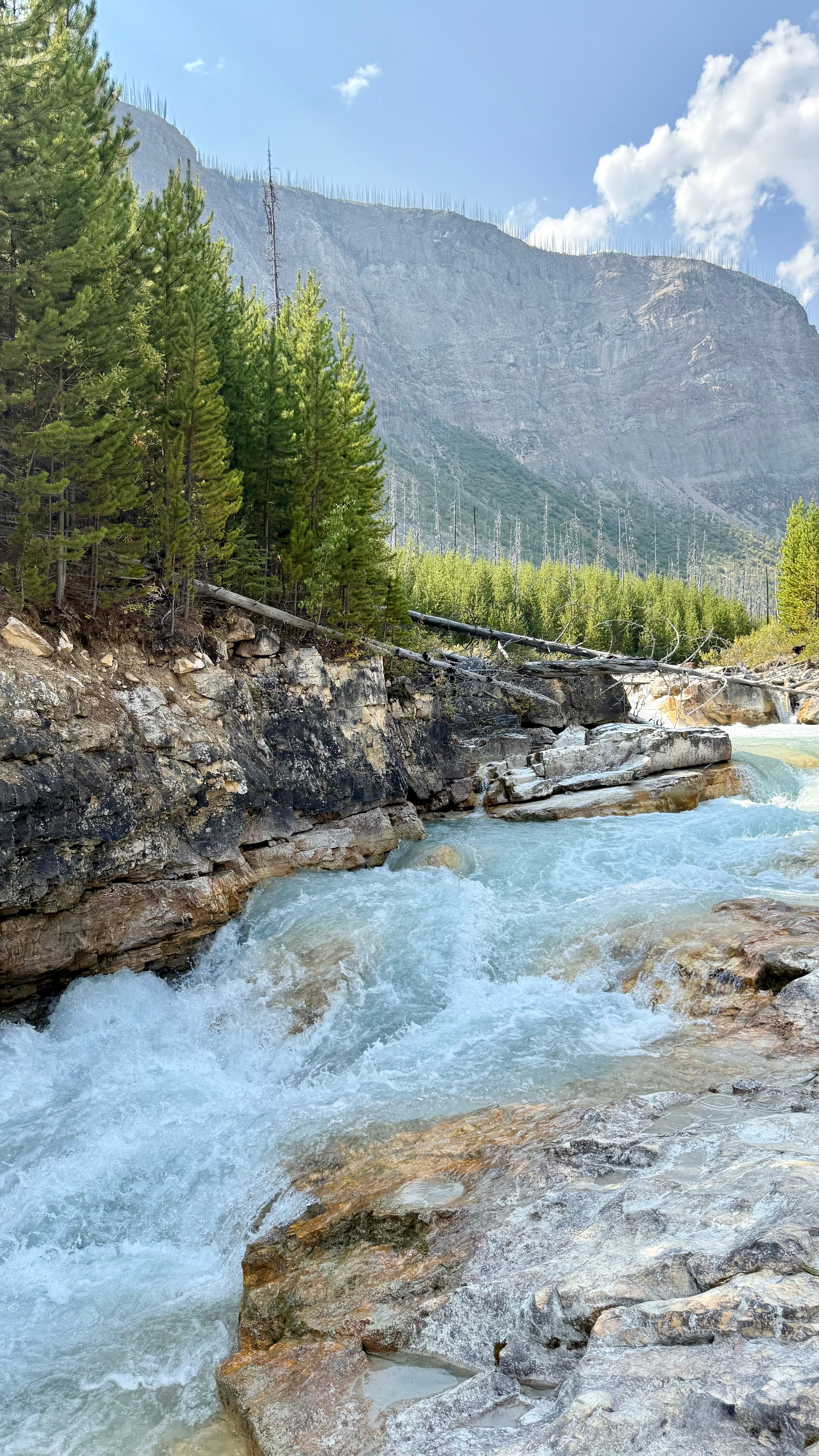 Clean Water Photos, Download The BEST Free Clean Water Stock Photos ...