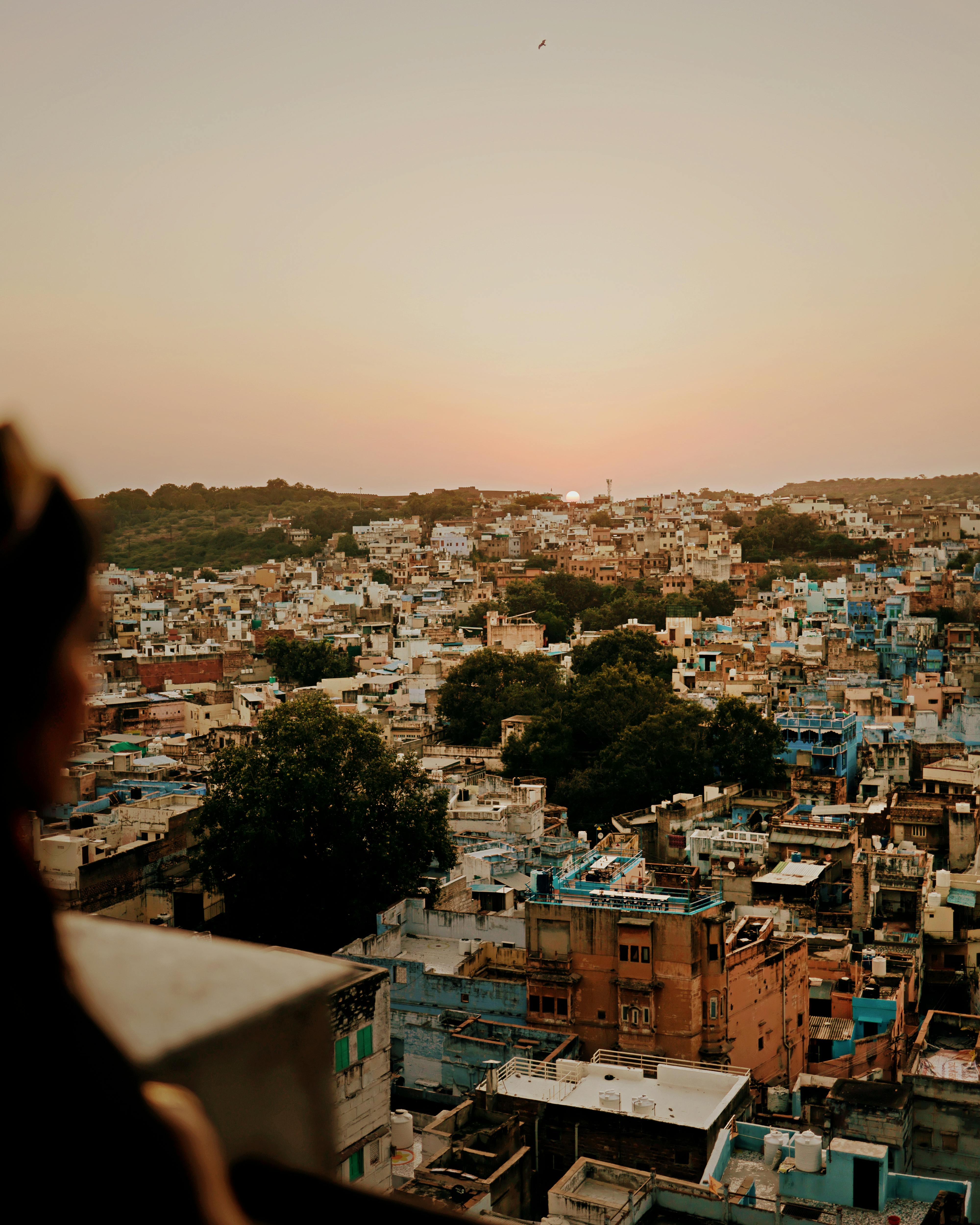 Hindu Deepa, Photos, Download The BEST Free Hindu Deepa, Stock Photos ...