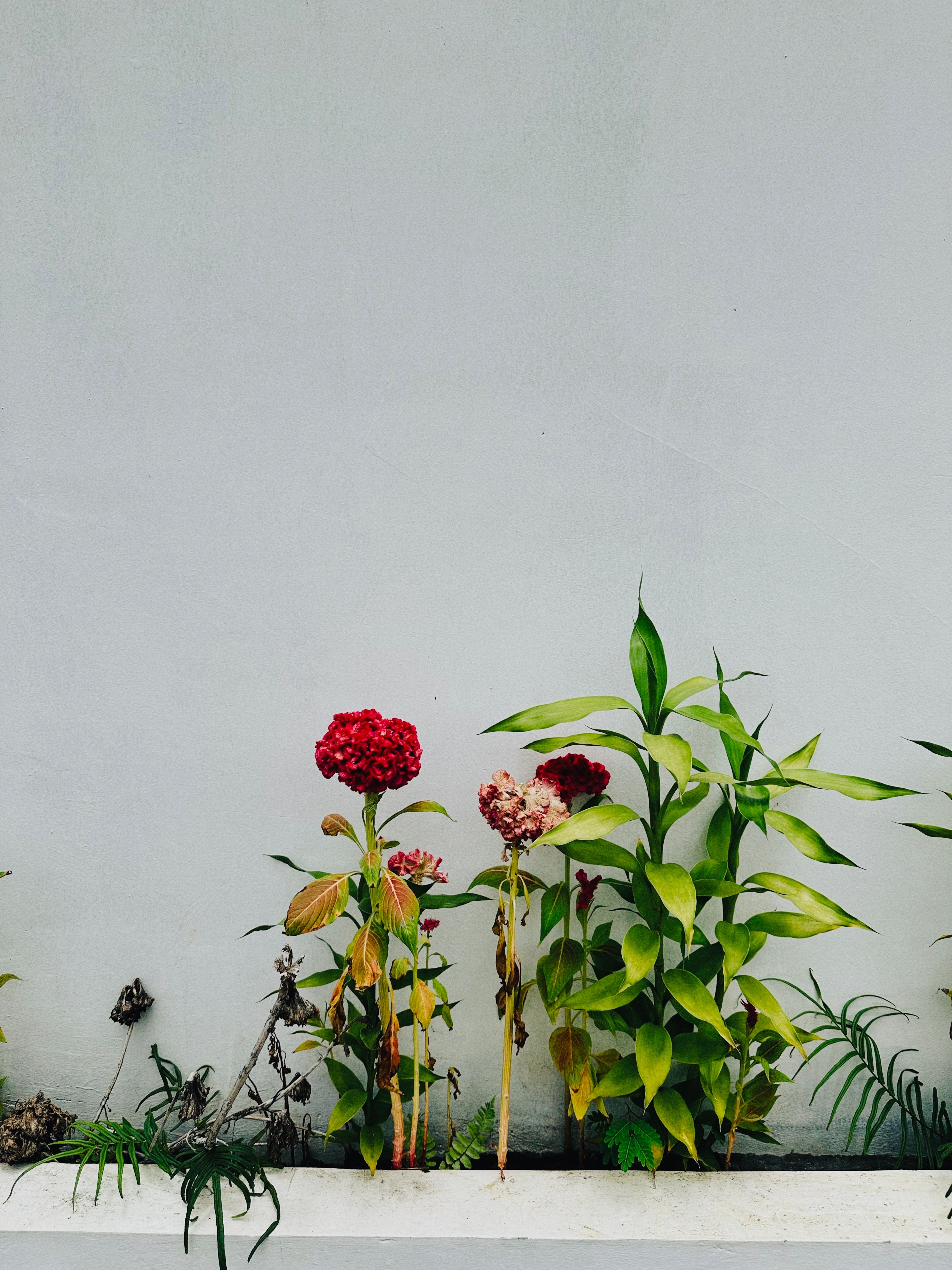 Simple Aesthetic Background Photos, Download The BEST Free Simple ...