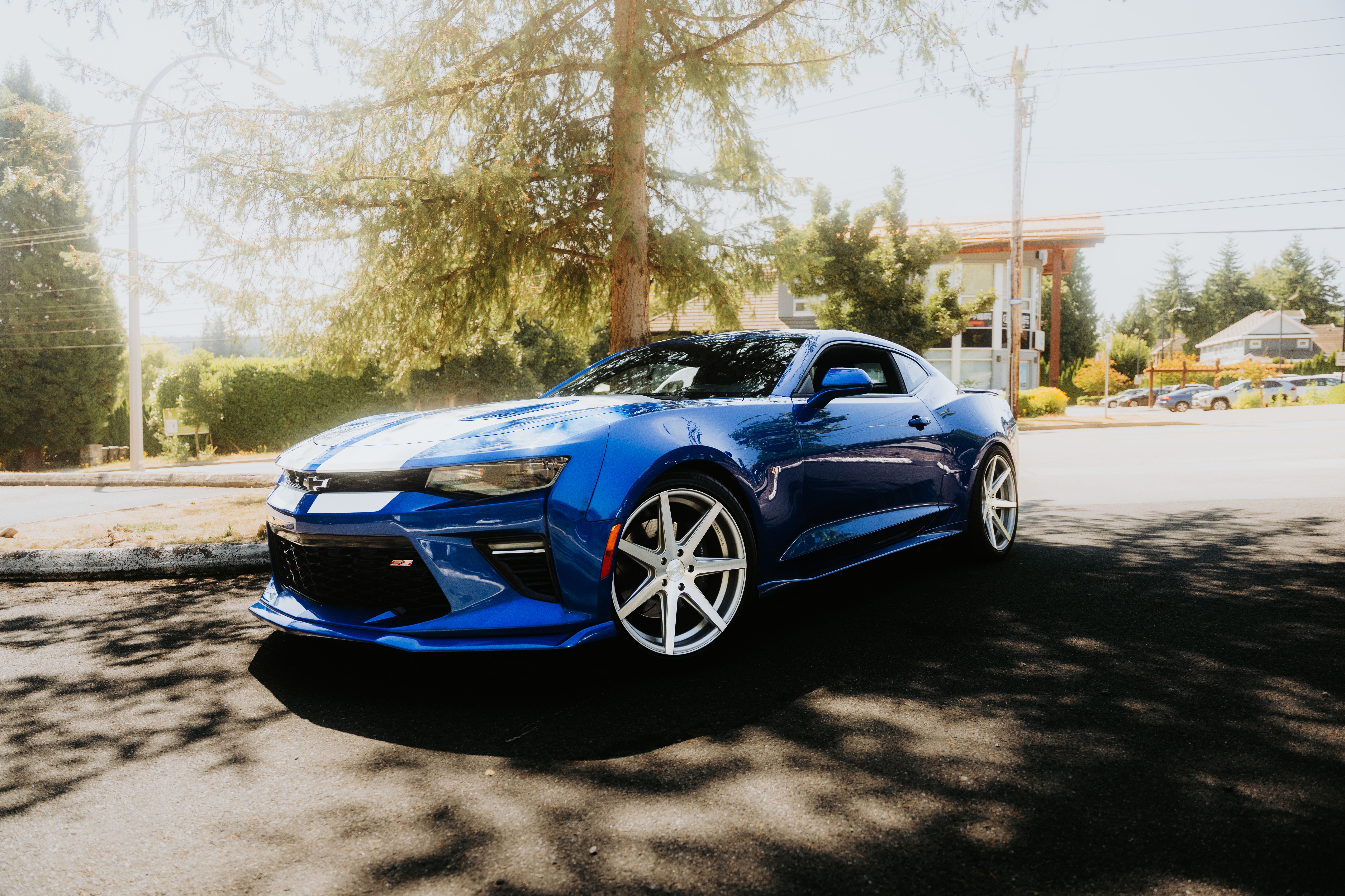 Blue Sports Car Parked in Sunny Suburban Area · Free Stock Photo