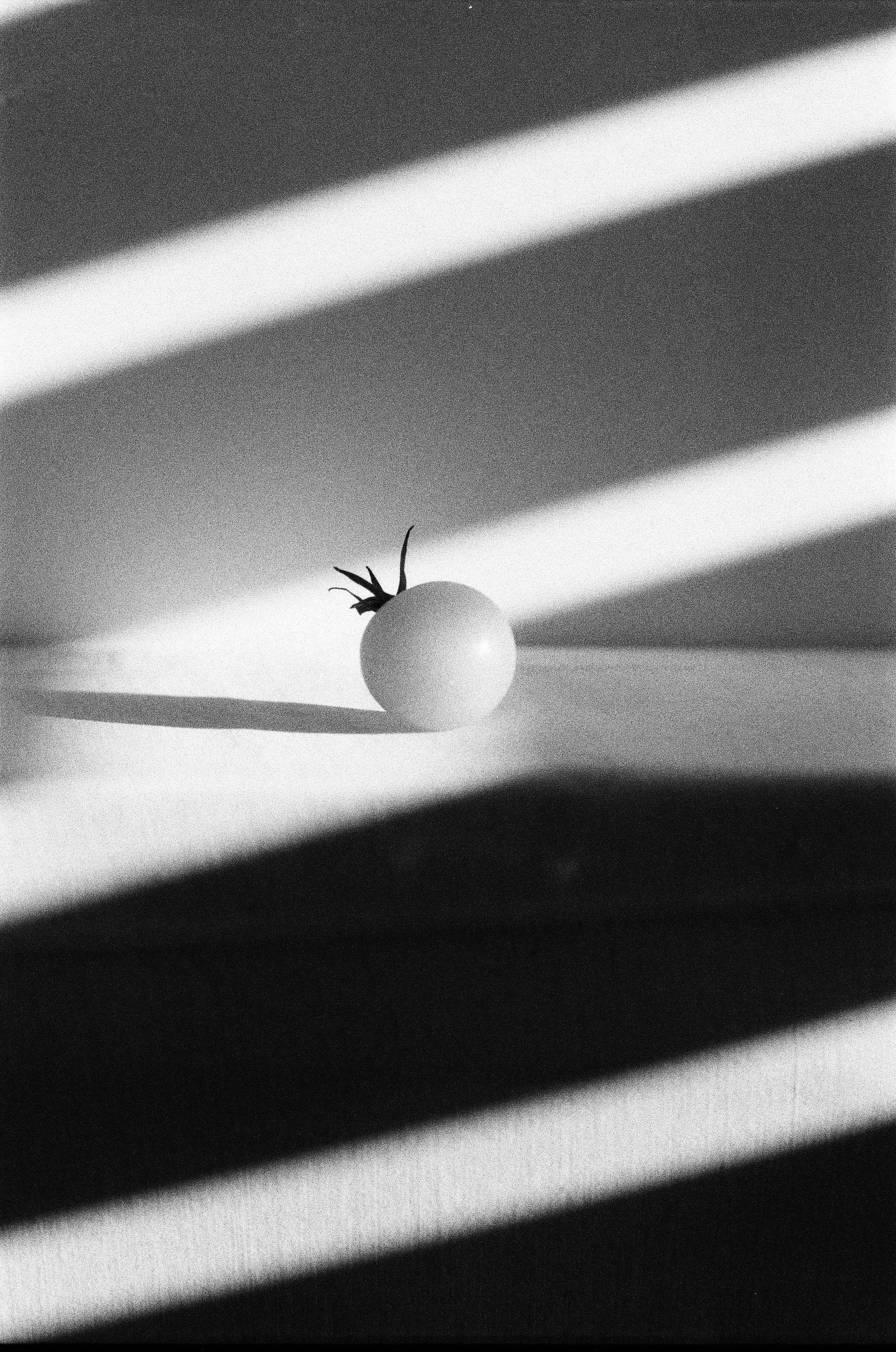 Minimalist Black and White Tomato with Shadows · Free Stock Photo