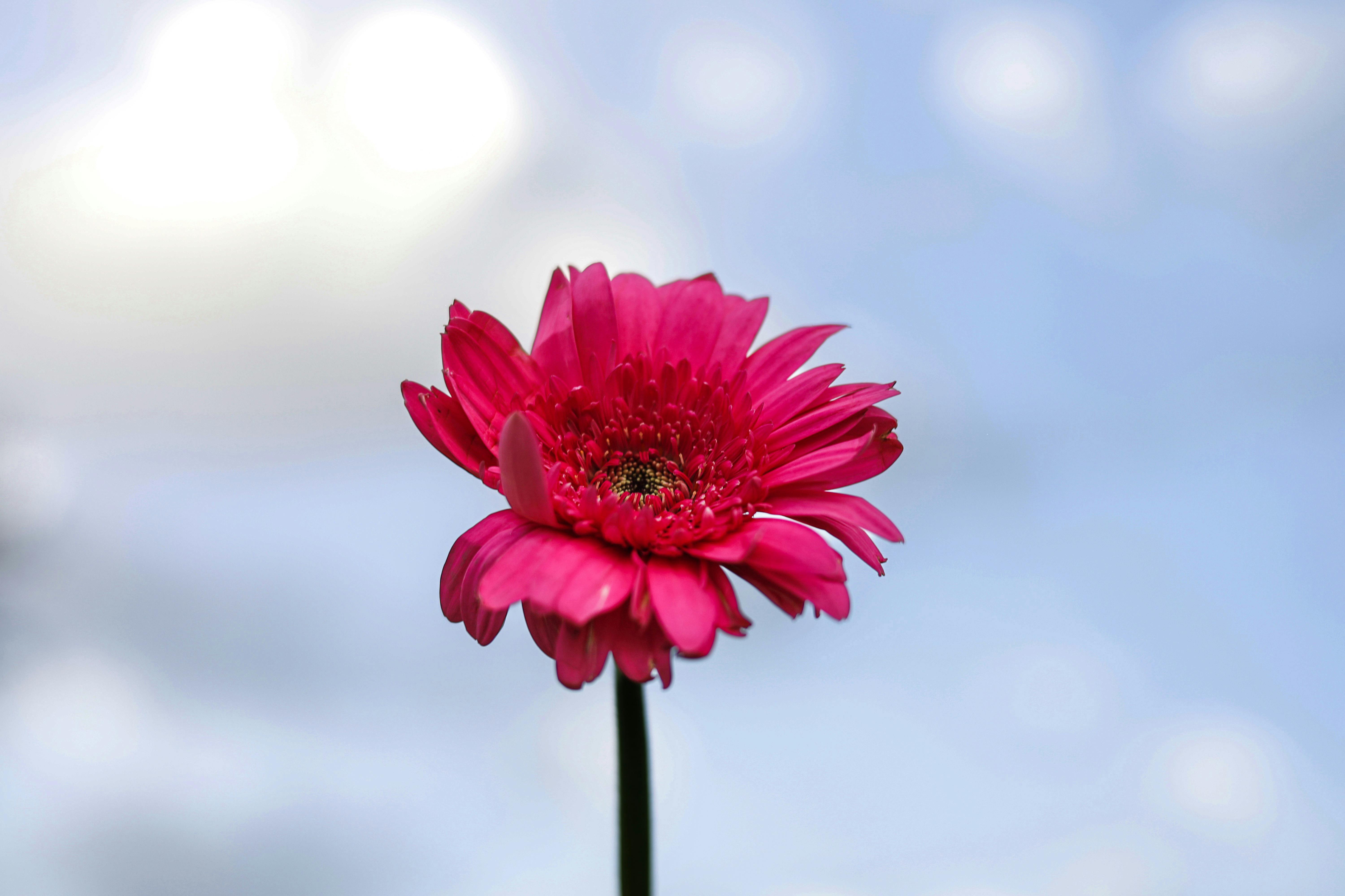 Induction Background Photos, Download The BEST Free Induction ...