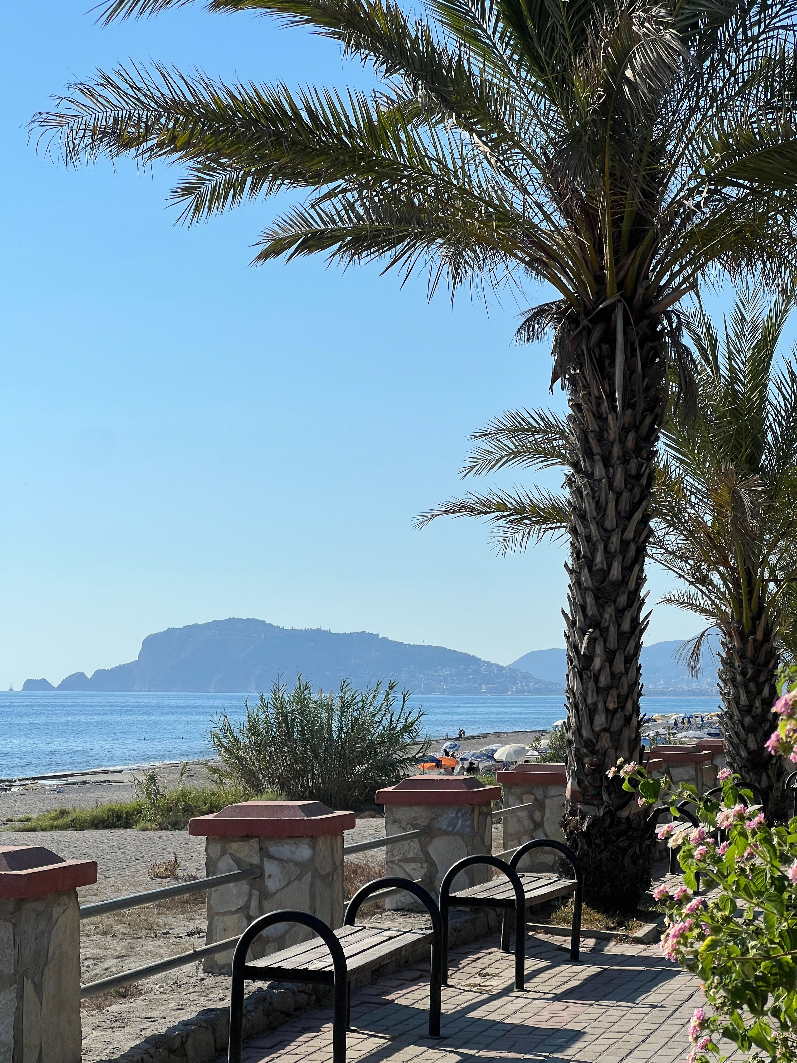 Scenic Beach View with Palm Trees in Antalya · Free Stock Photo