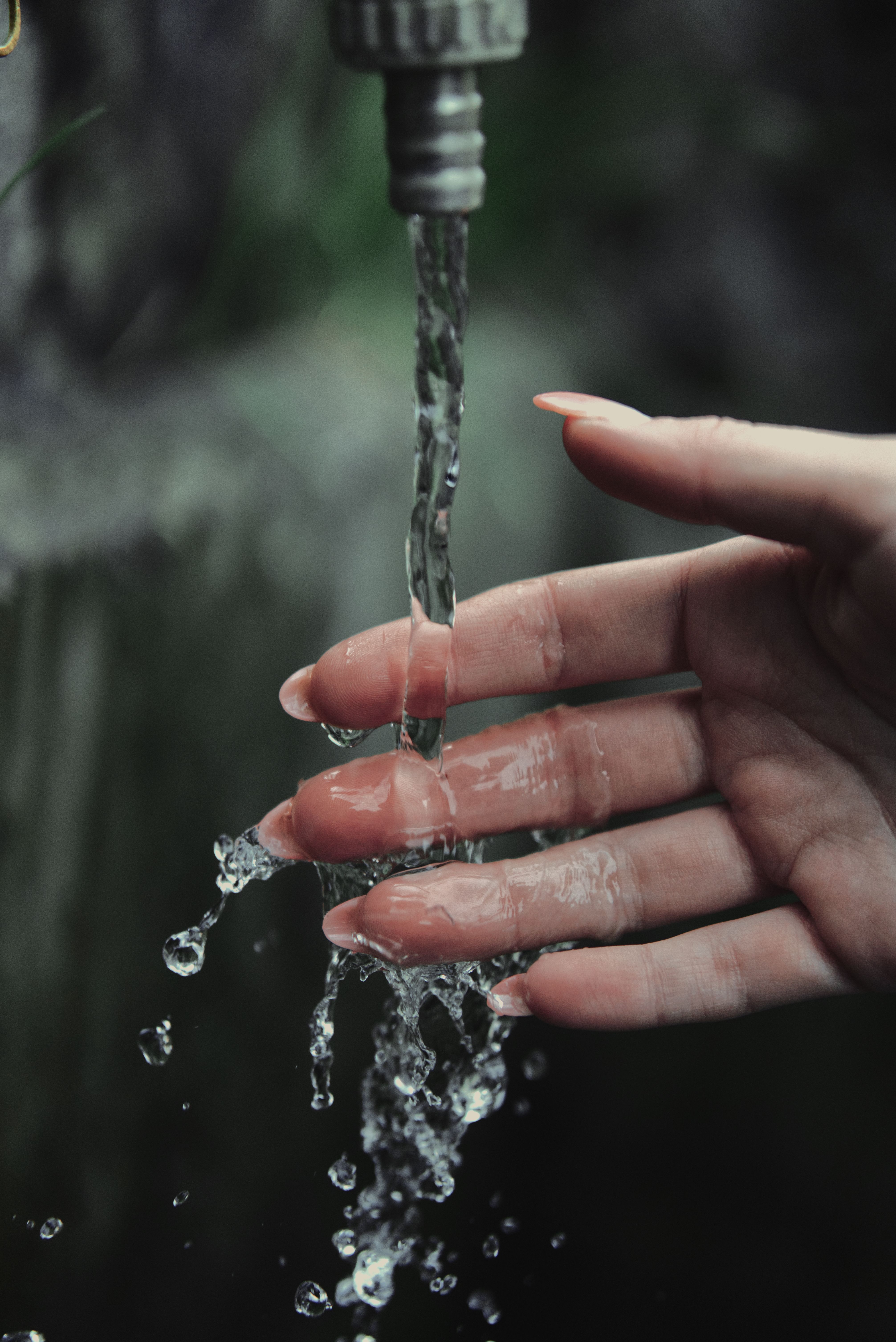 Girl Hand Photos, Download The BEST Free Girl Hand Stock Photos & HD Images