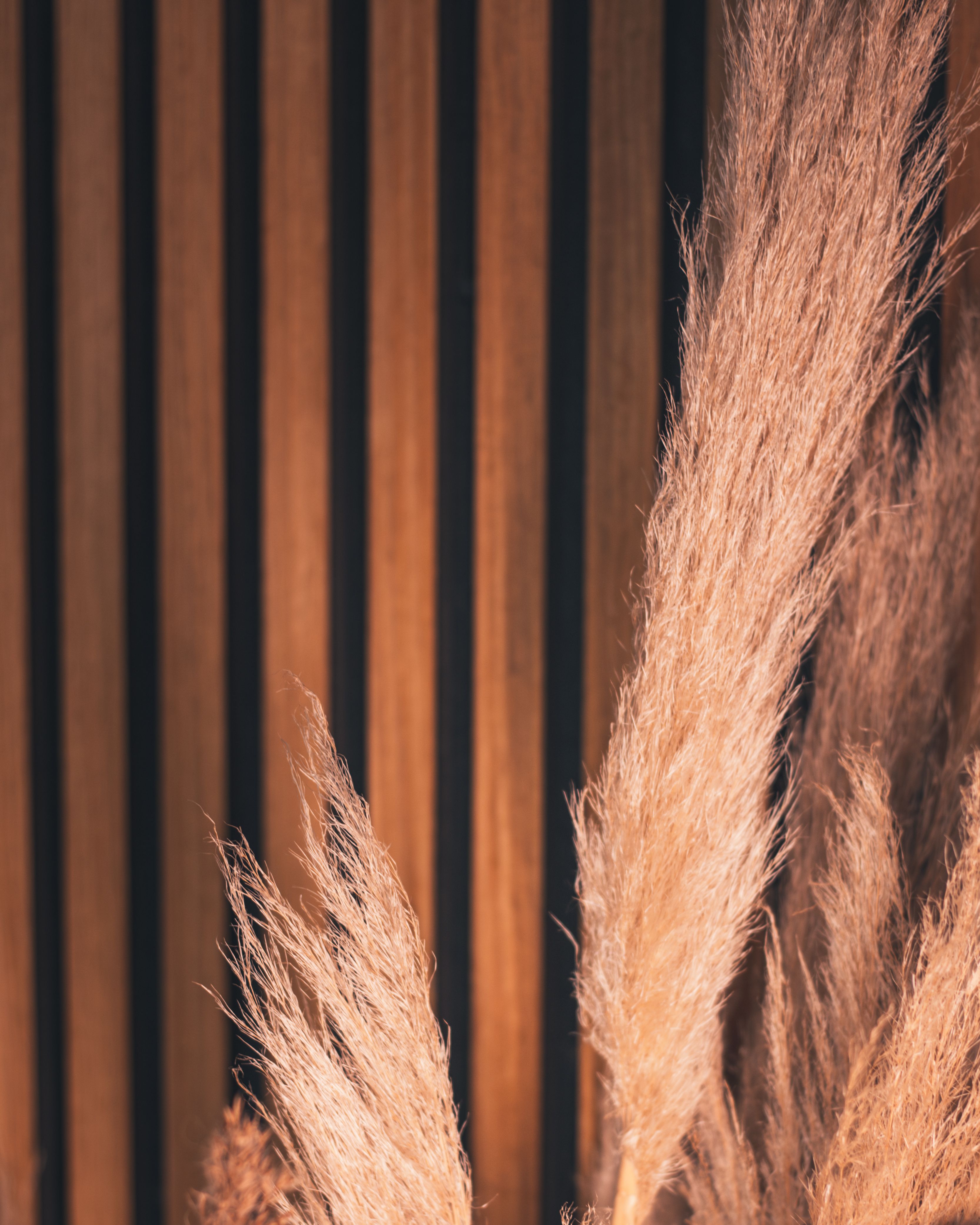 Boho Photos, Download The BEST Free Boho Stock Photos & HD Images