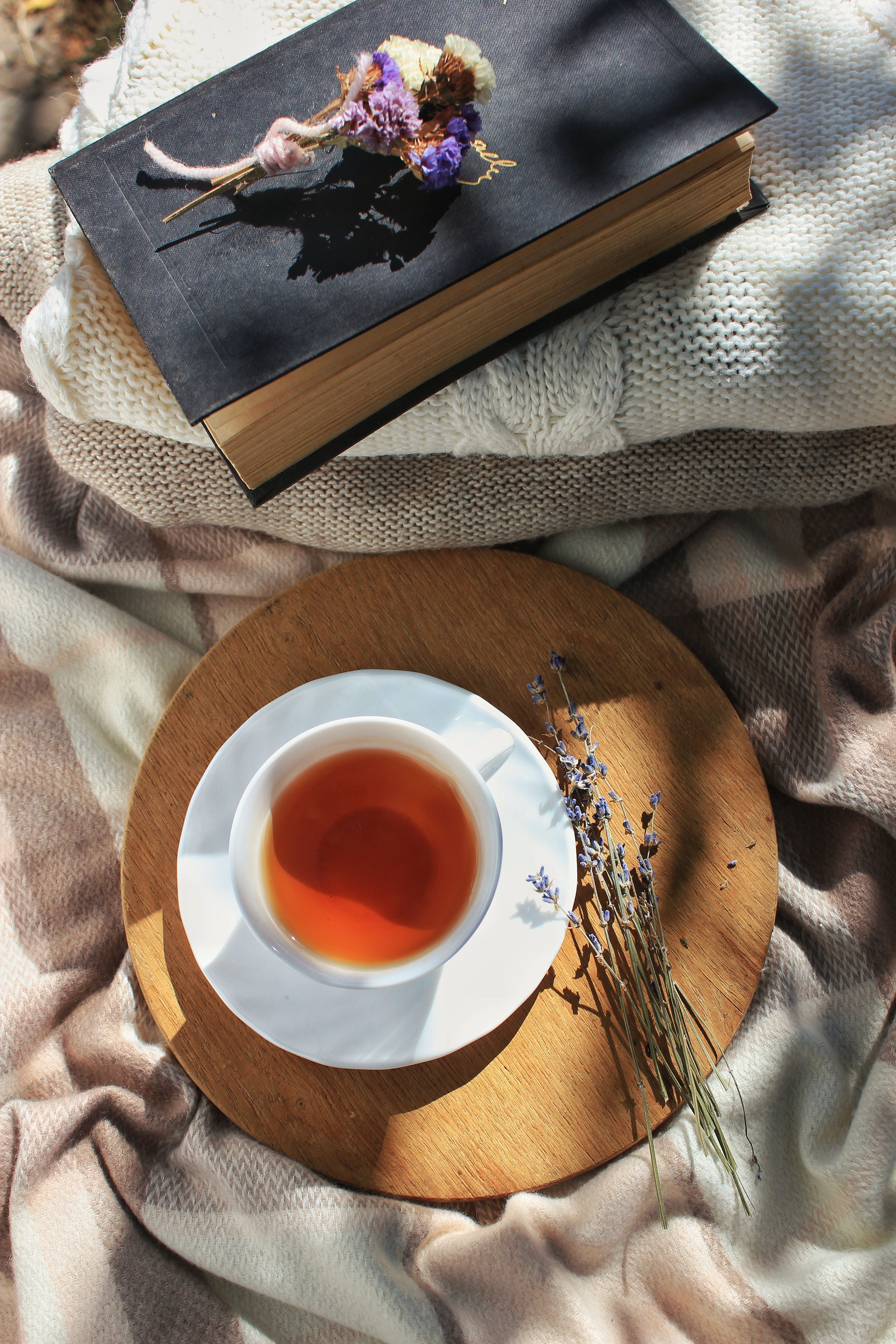 Book Outline Photos, Download The BEST Free Book Outline Stock Photos ...