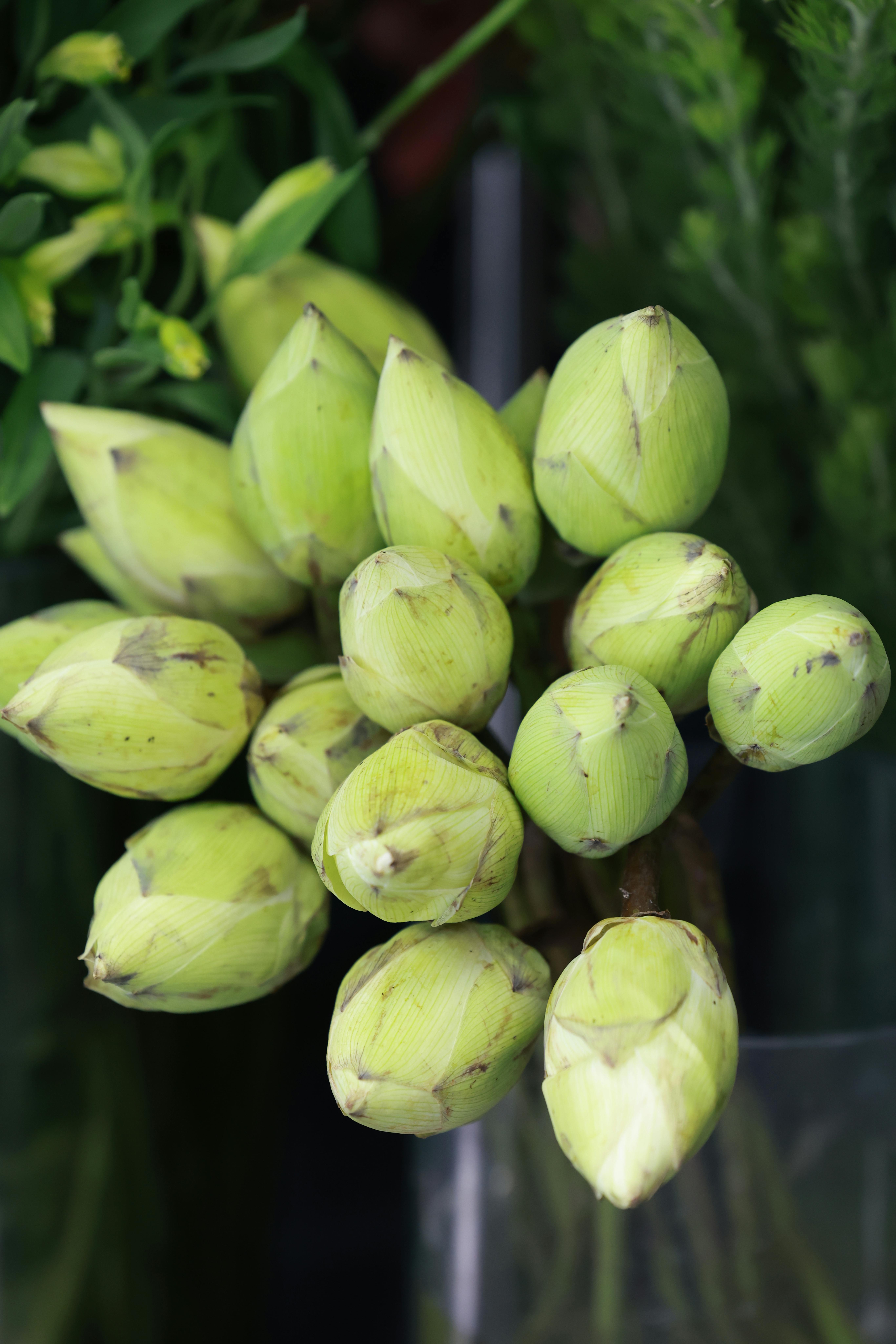 Hat+Kata+Photo Photos, Download The BEST Free Hat+Kata+Photo Stock ...