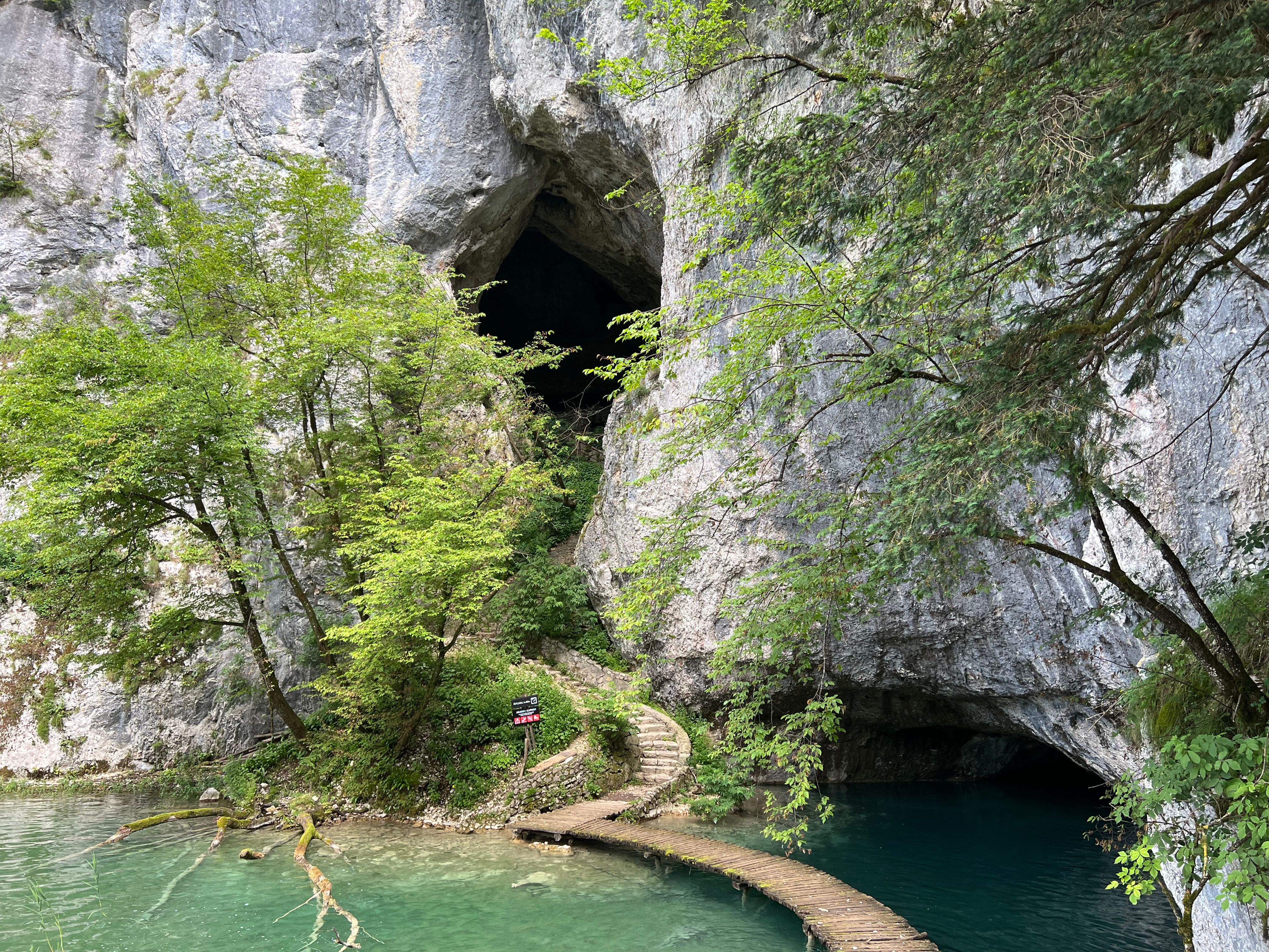 Stunning River Cave Entrance and Lush Foliage · Free Stock Photo