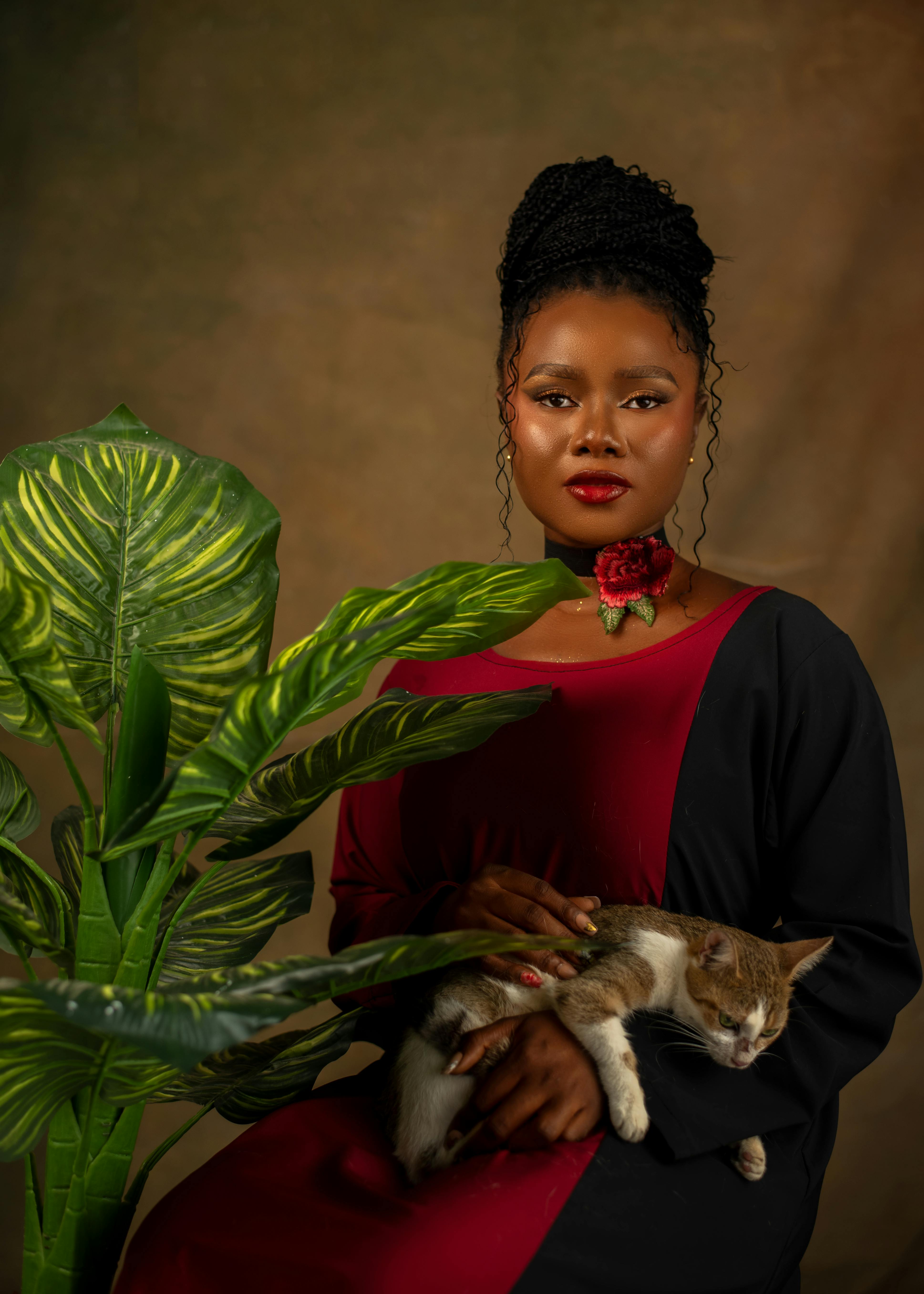 Cat No Background Photos, Download The BEST Free Cat No Background ...