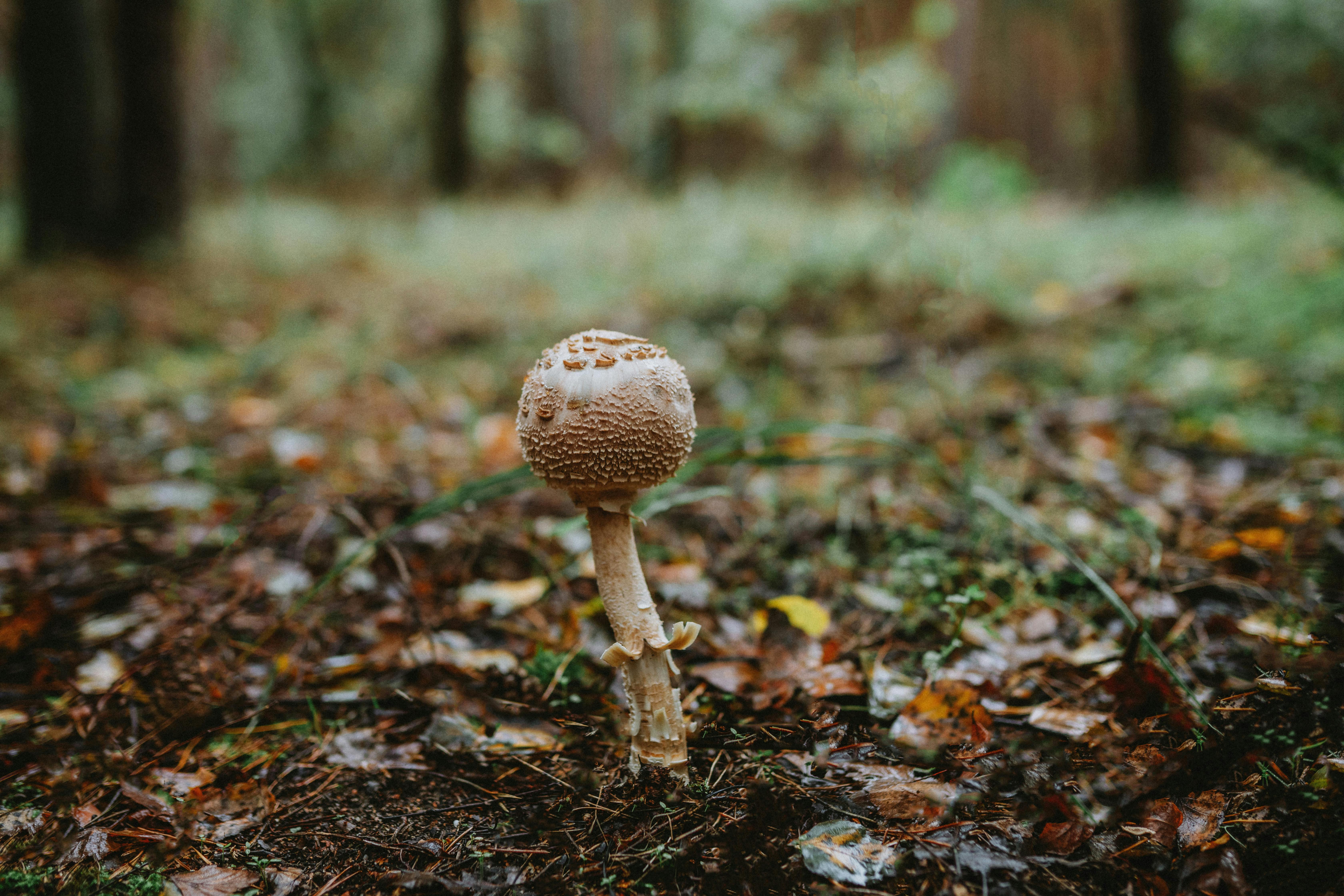 Environmental Science Photos, Download The BEST Free Environmental ...