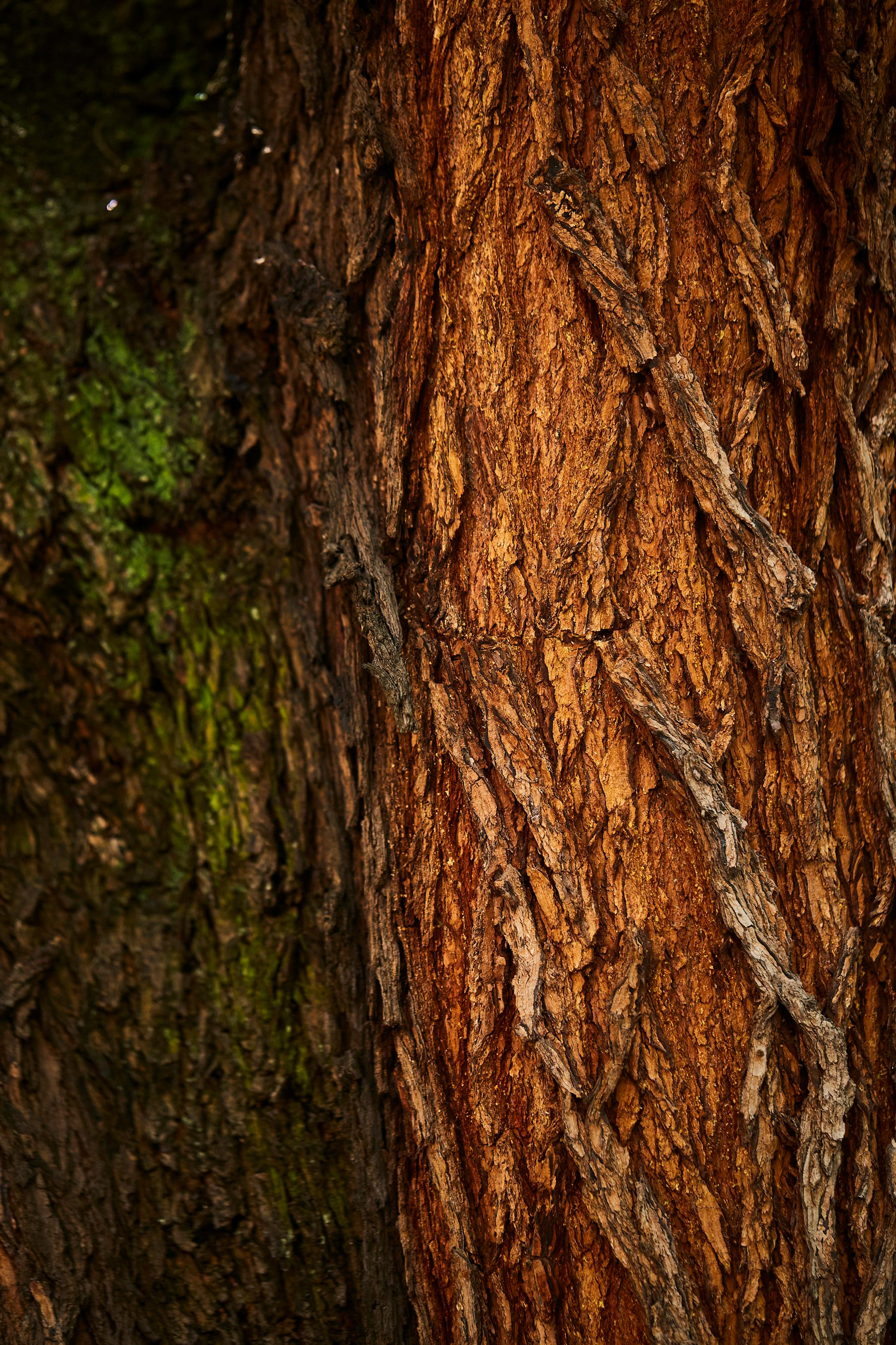 Danielle+Moss+Wallpaper Photos, Download The BEST Free Danielle+Moss ...