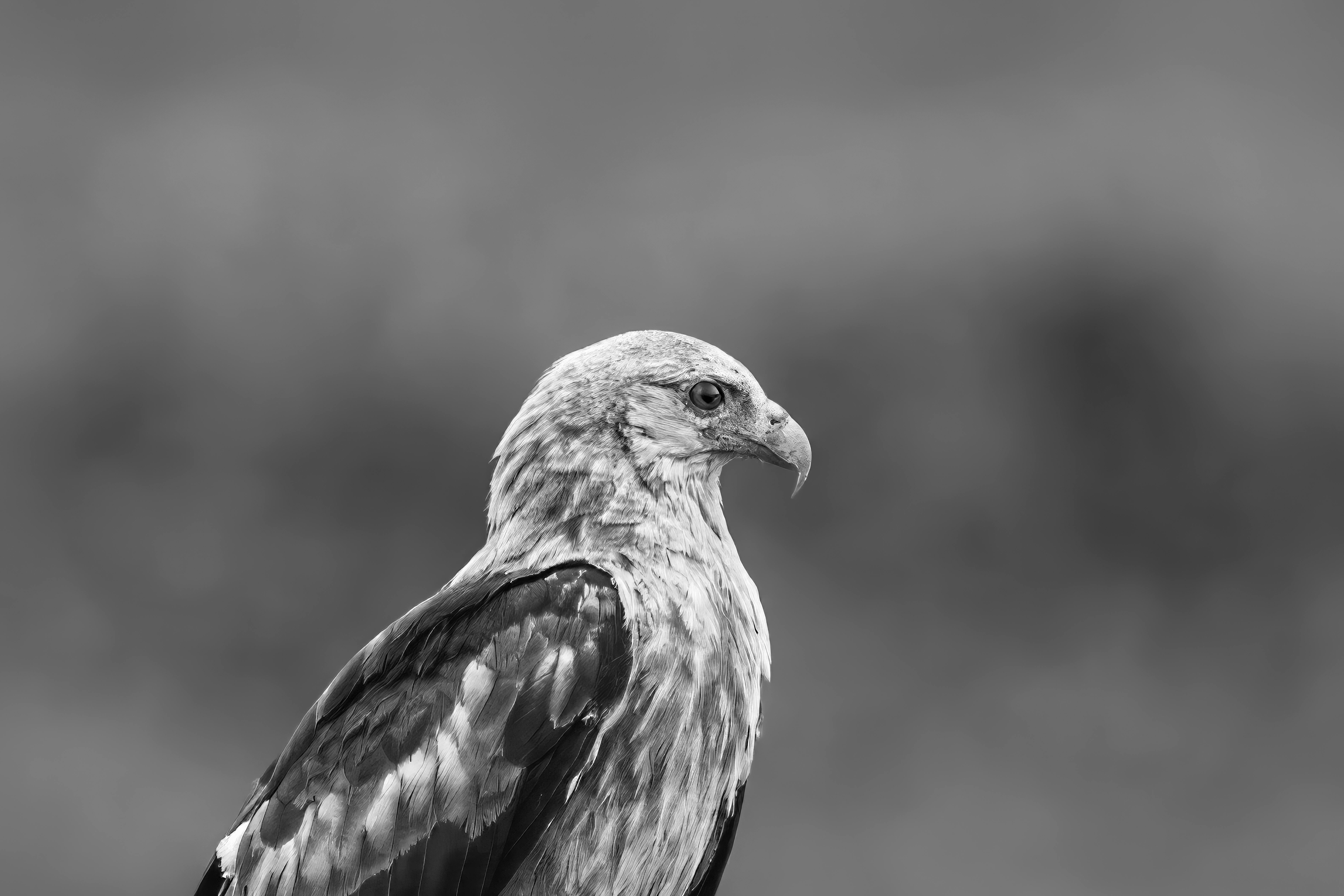 Tuff+Profile+Pics Photos, Download The BEST Free Tuff+Profile+Pics ...