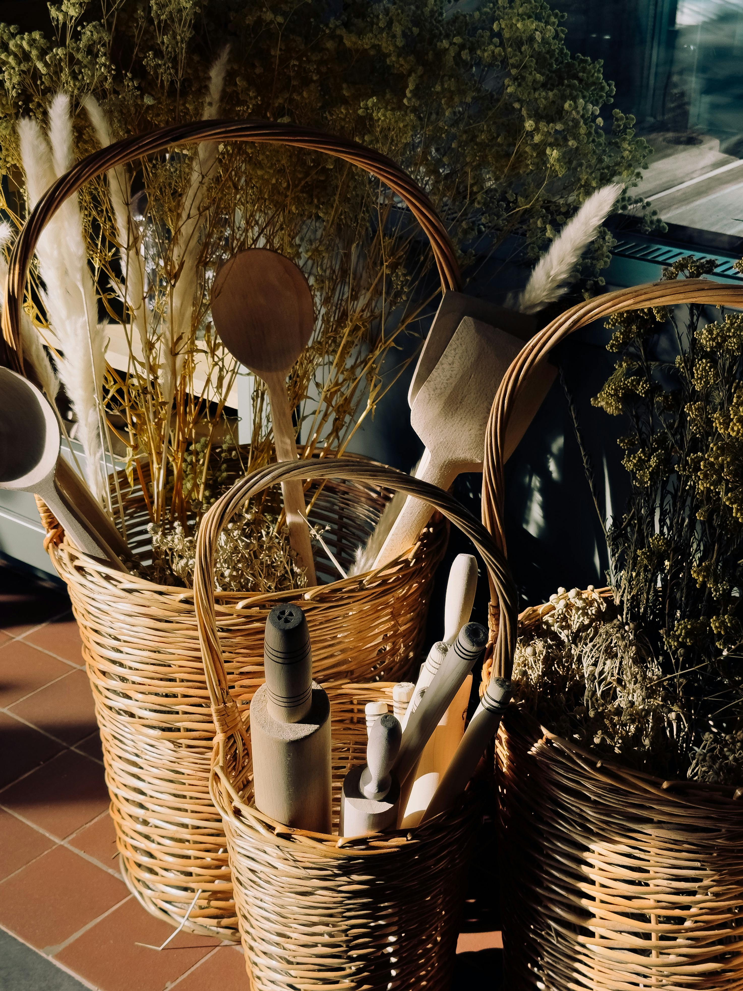 Cane Photos, Download The BEST Free Cane Stock Photos & HD Images