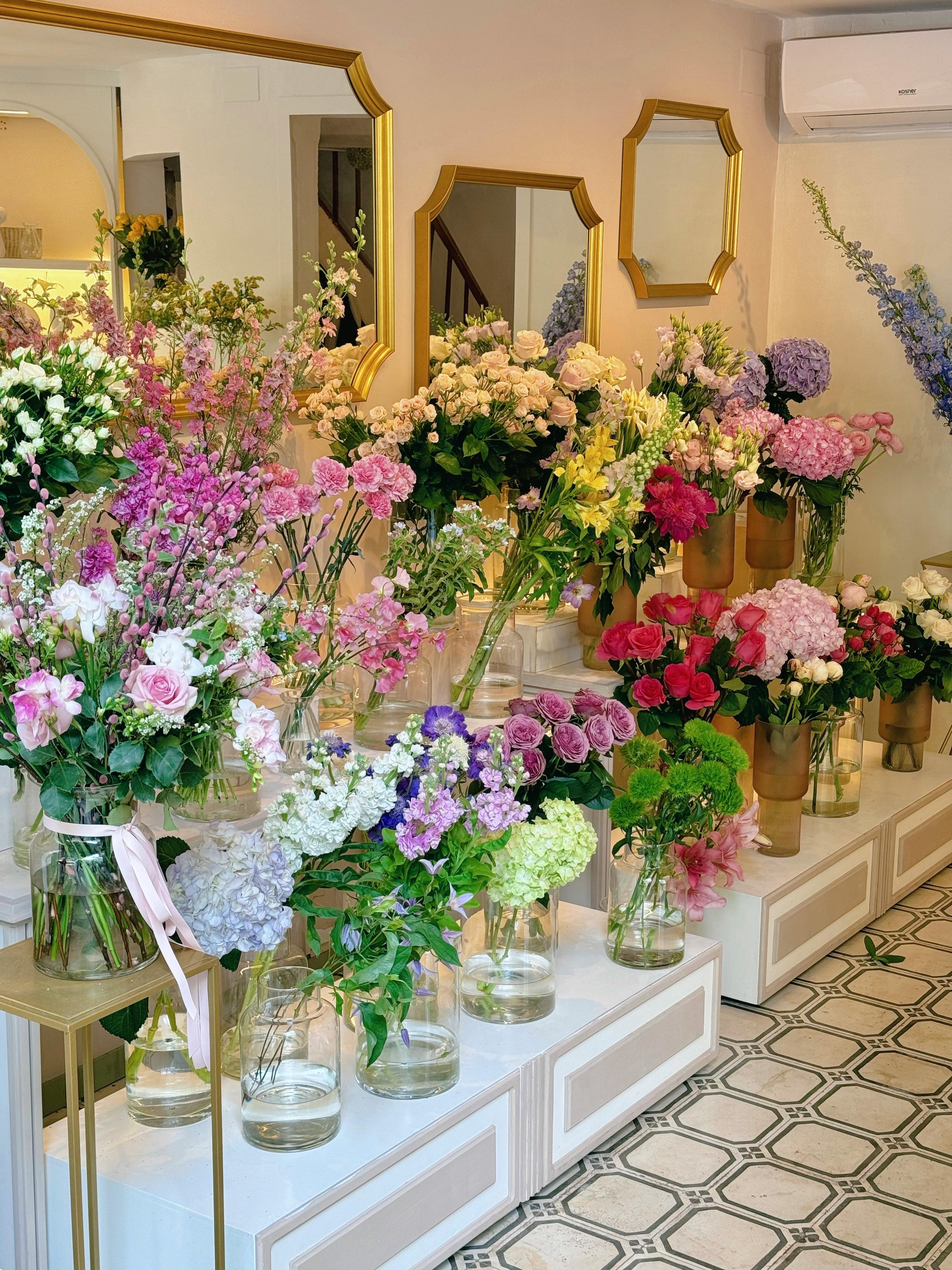 Posy Flower Photos, Download The BEST Free Posy Flower Stock Photos ...