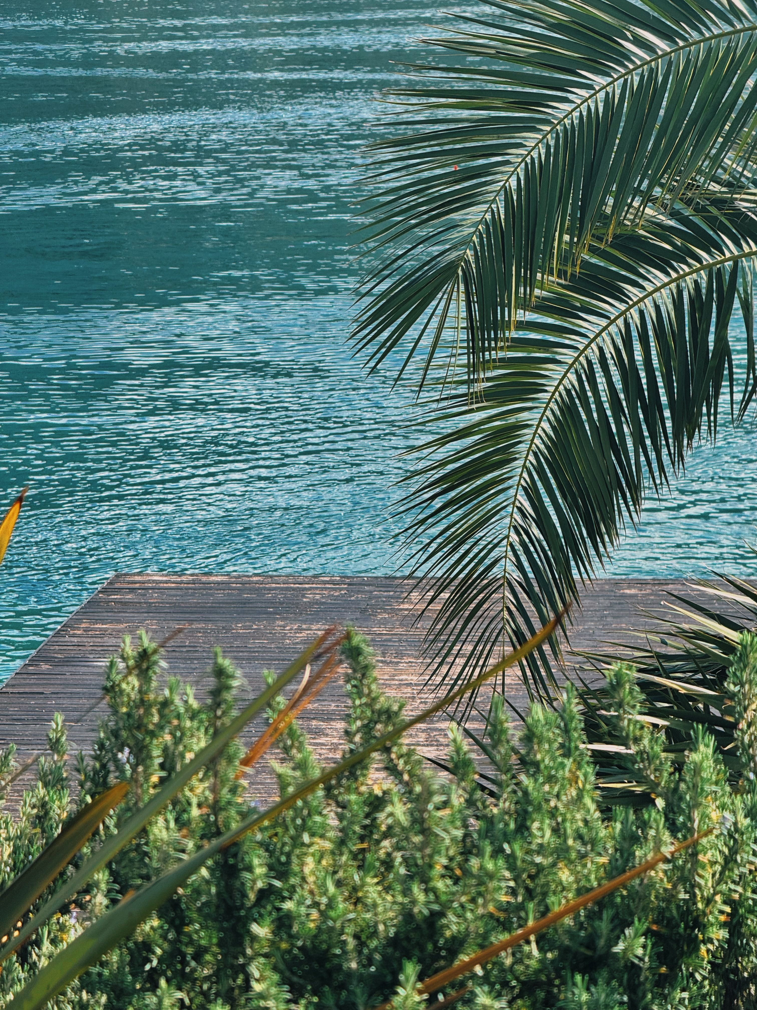 Oasis Photos, Download The BEST Free Oasis Stock Photos & HD Images
