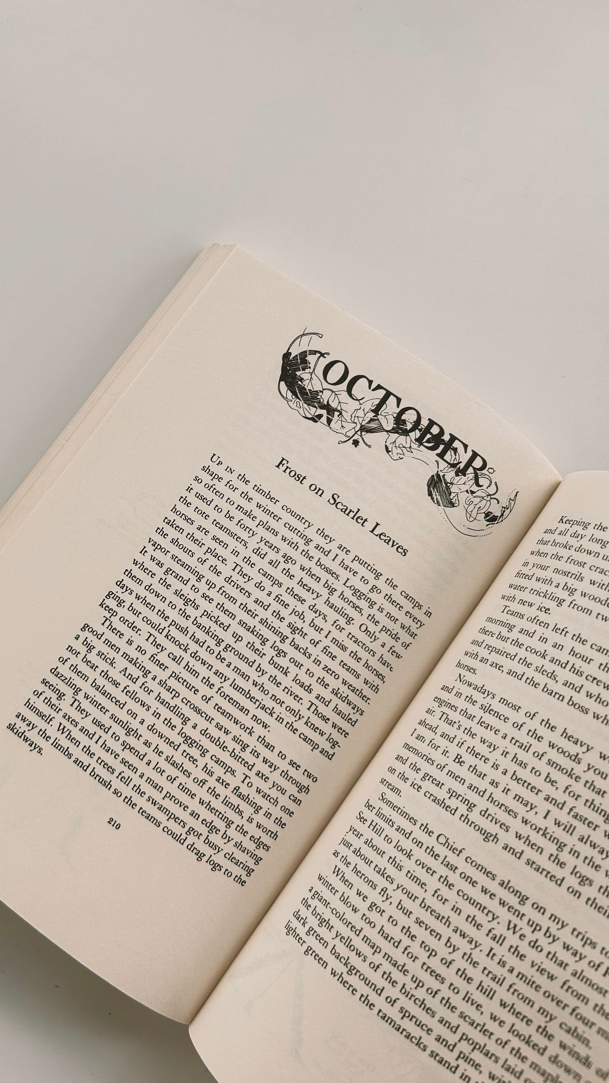 Book Page Background Photos, Download The BEST Free Book Page ...