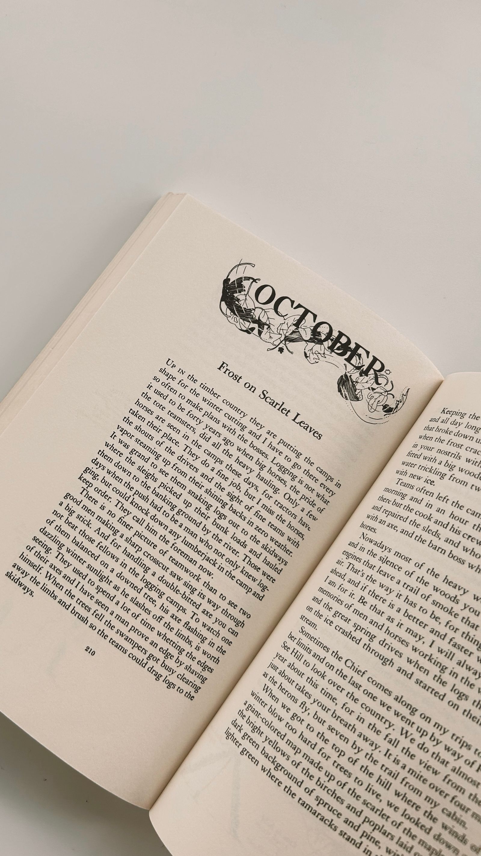 Book Page Background Photos, Download The BEST Free Book Page ...
