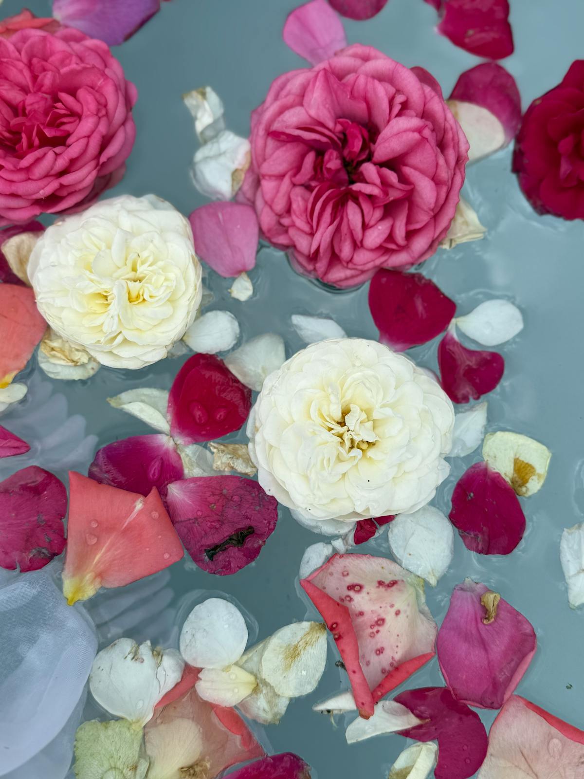 Tarp Background Photos, Download The BEST Free Tarp Background Stock ...