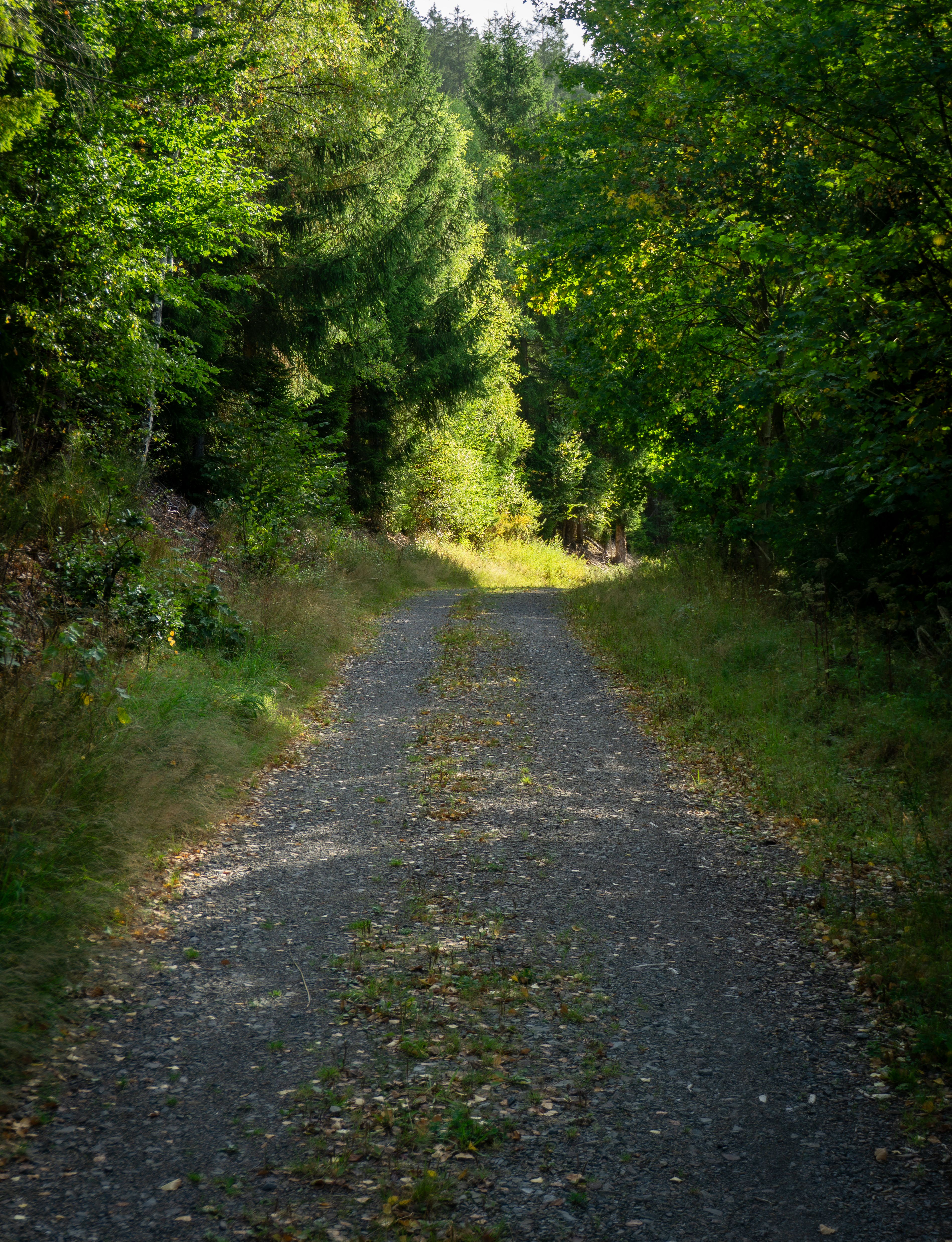 Pathway Walking Photos, Download The BEST Free Pathway Walking Stock ...